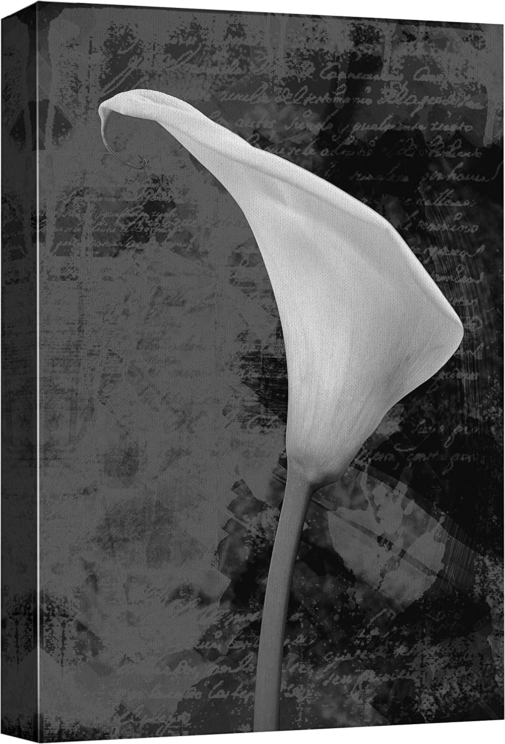 AEFER Canvas Print Wall Art Black & White Calla Lily & Cursive ...