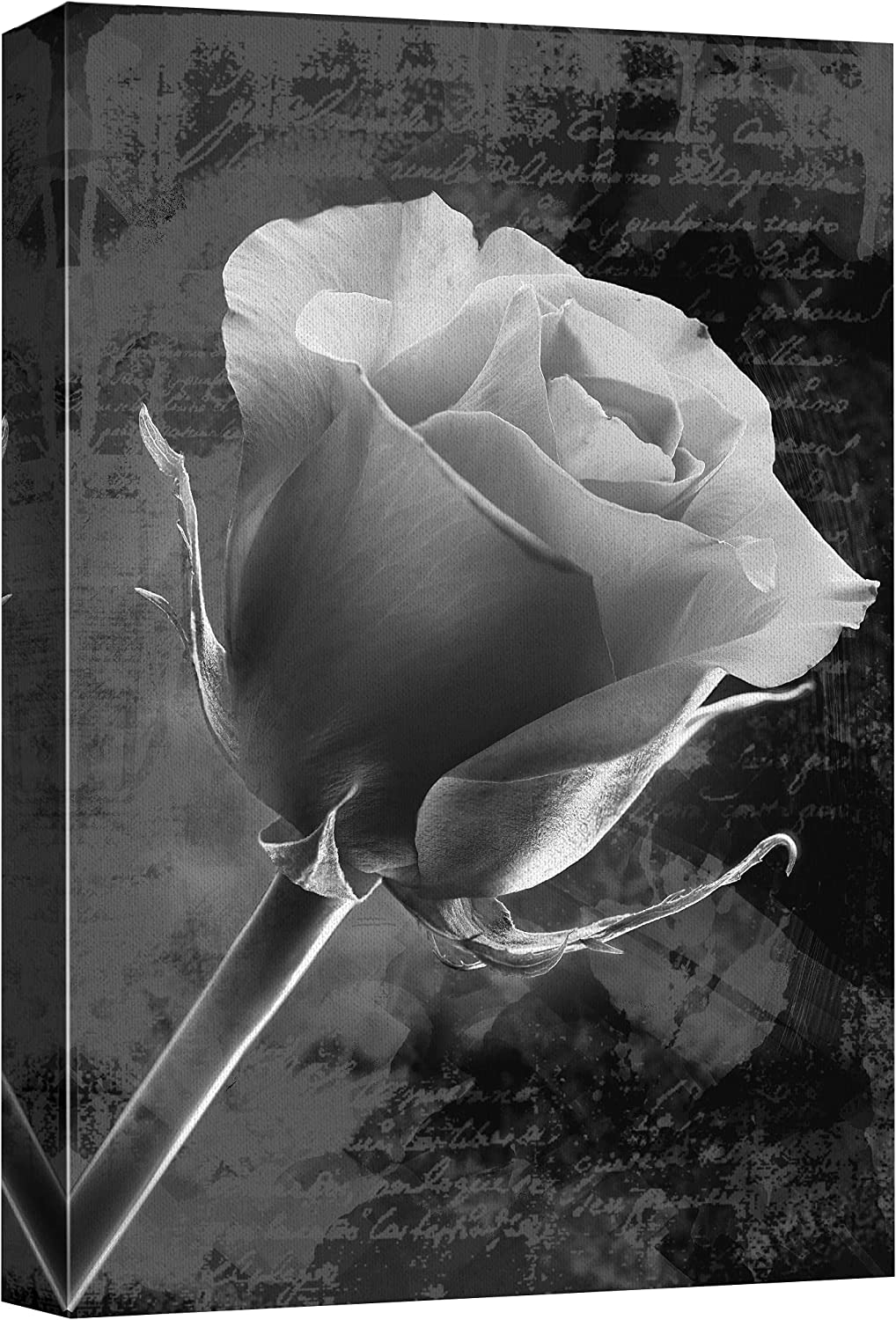 AEFER Canvas Print Wall Art Black & White Rose & Cursive Typography ...