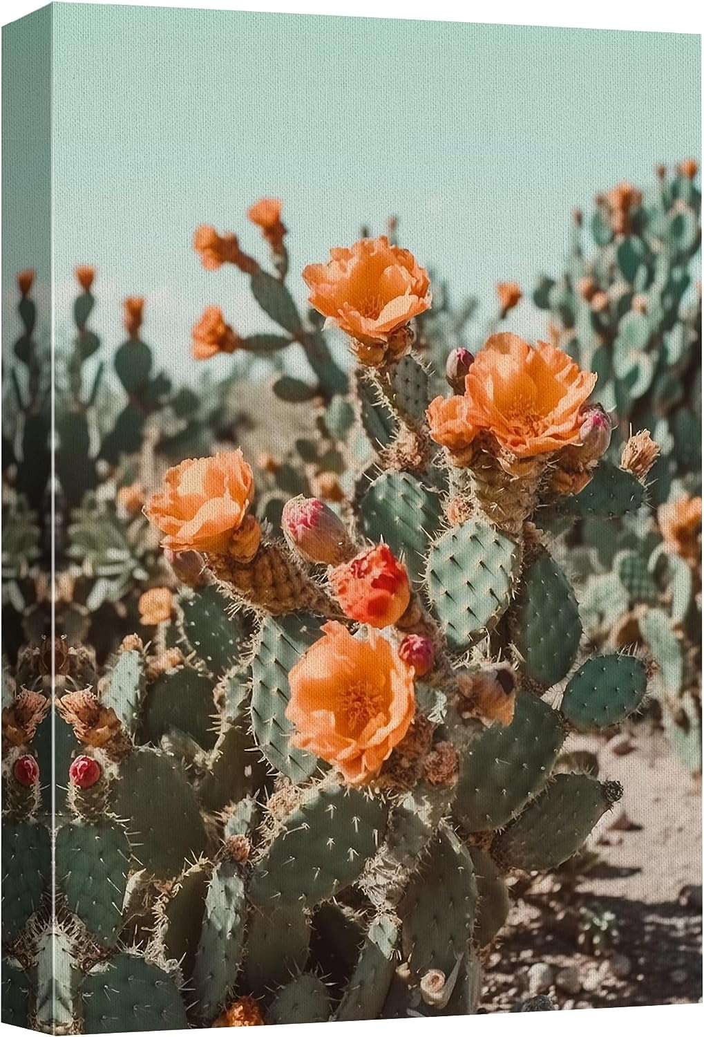 AEFER Canvas Print Wall Art Blooming Saguaro Cactus Nature Wilderness ...