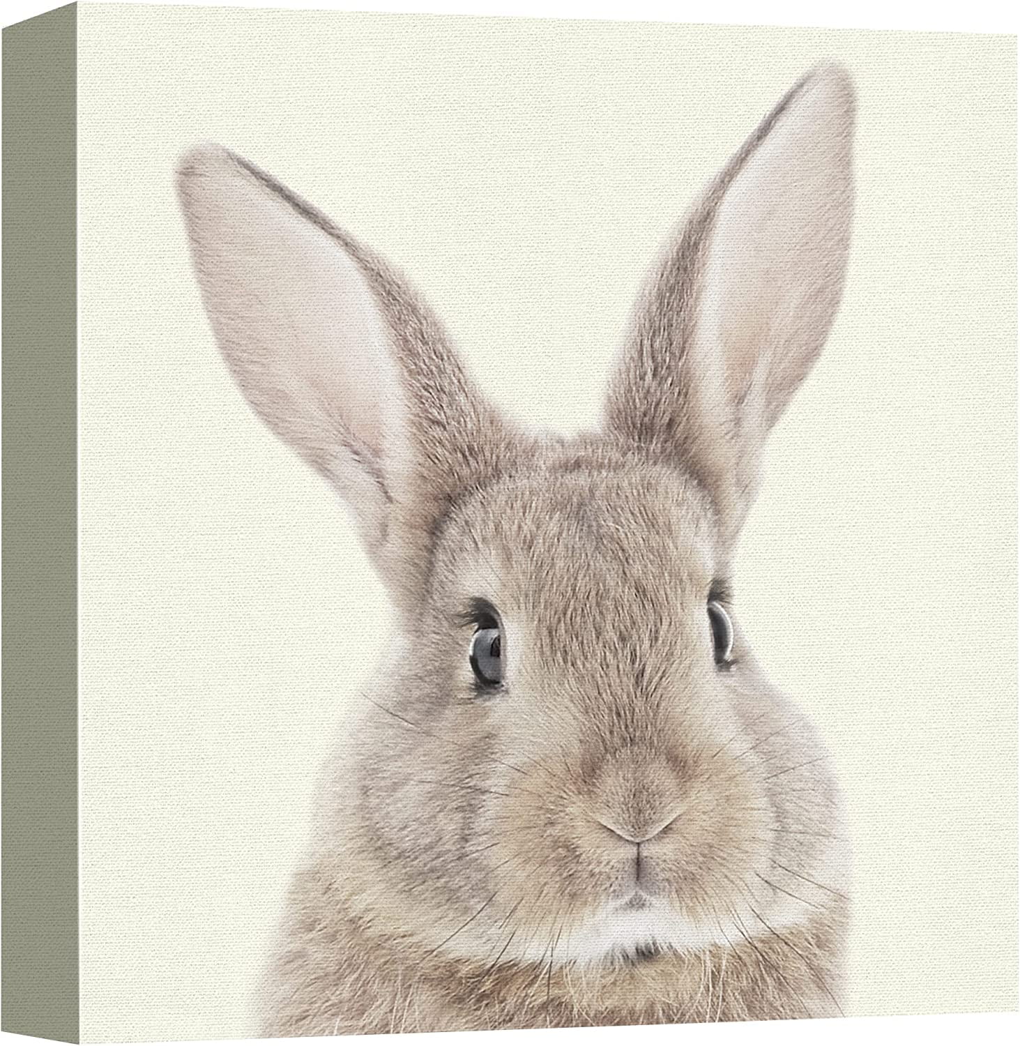 AEFER Canvas Print Wall Art Brown Bunny Rabbit Portrait Animals ...