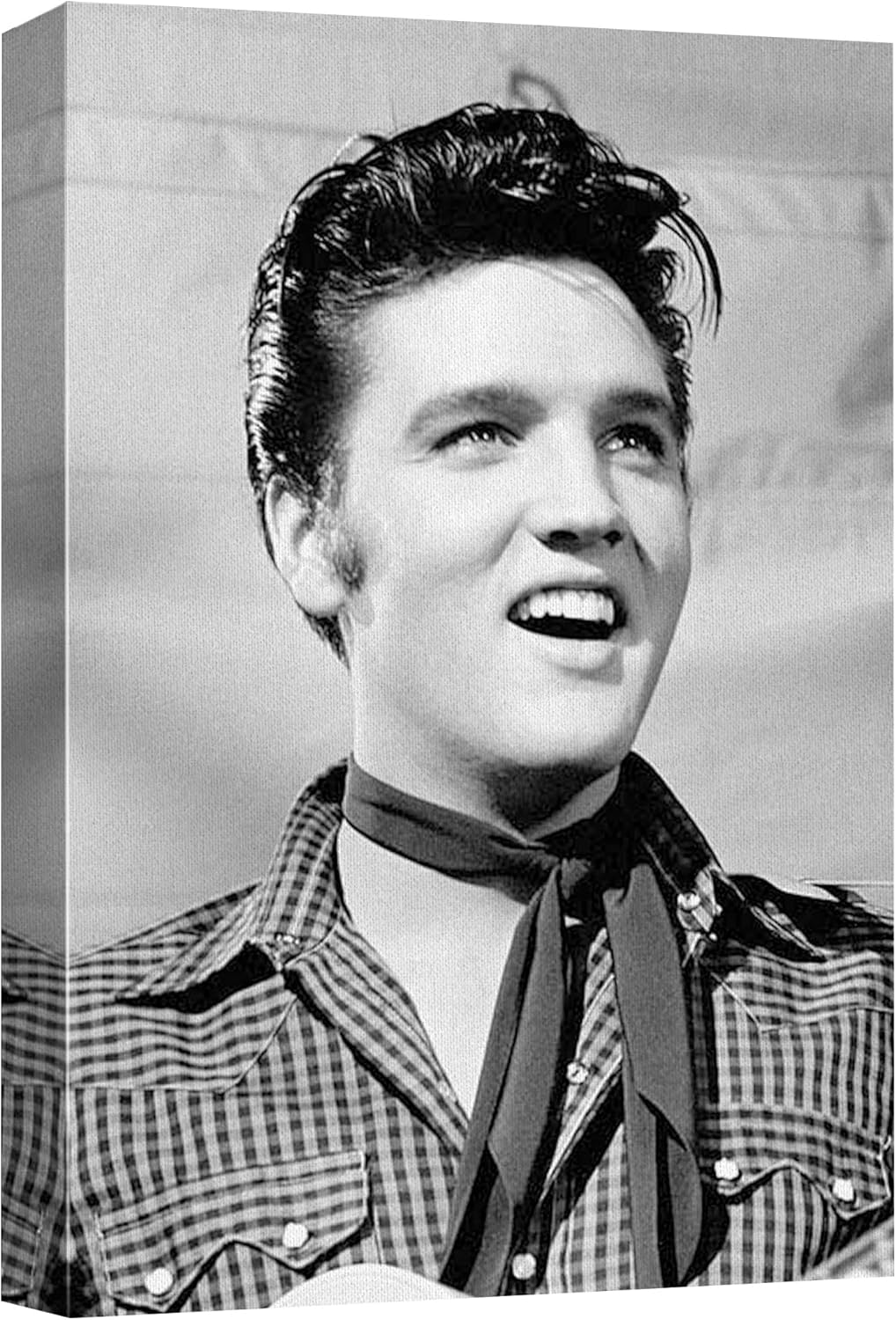 AEFER Canvas Print Wall Art Famous Celebrity Musician Rock & Roll Elvis ...