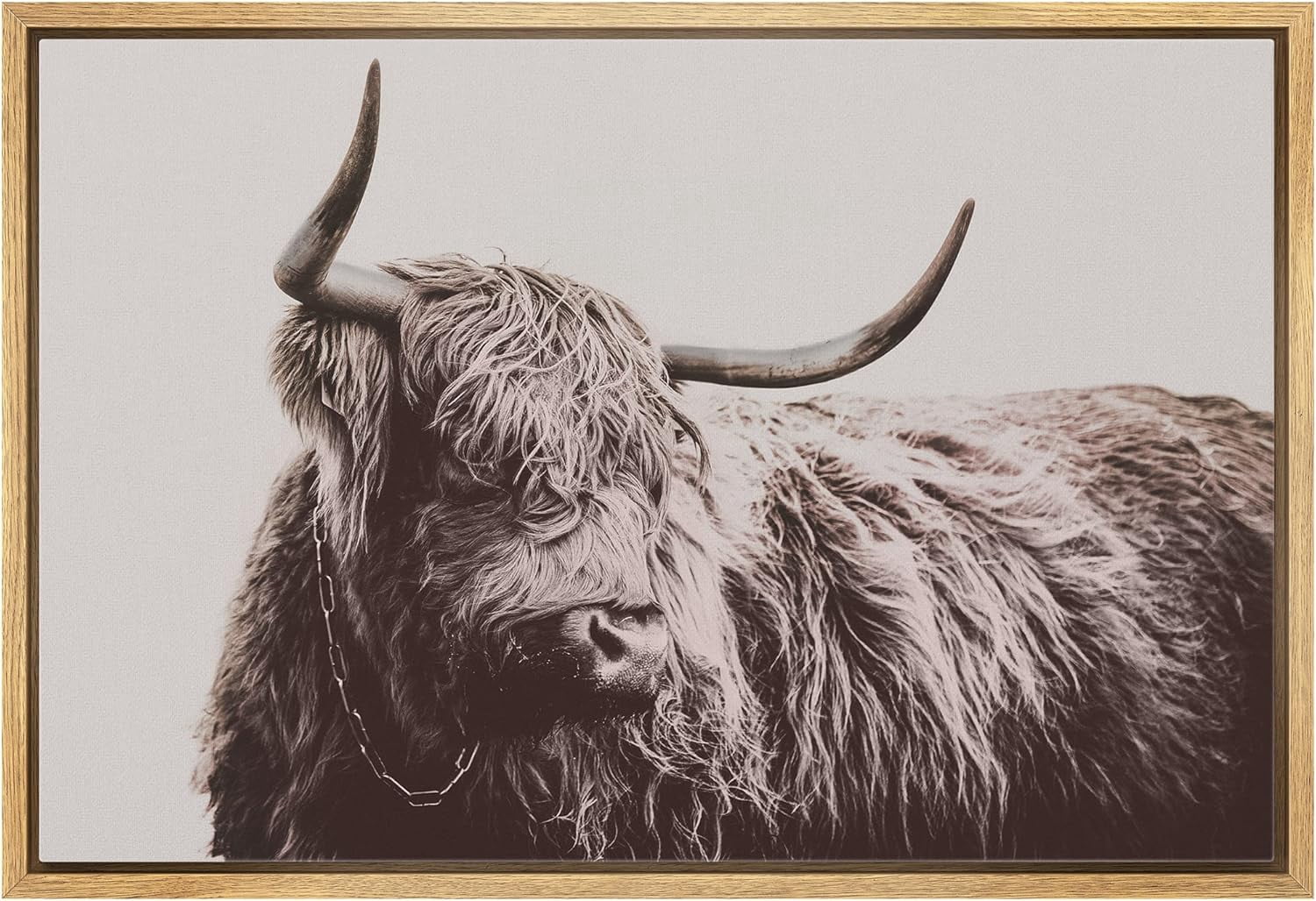 AEFER Canvas Print Wall Art Full View of Highland Cow Animals ...