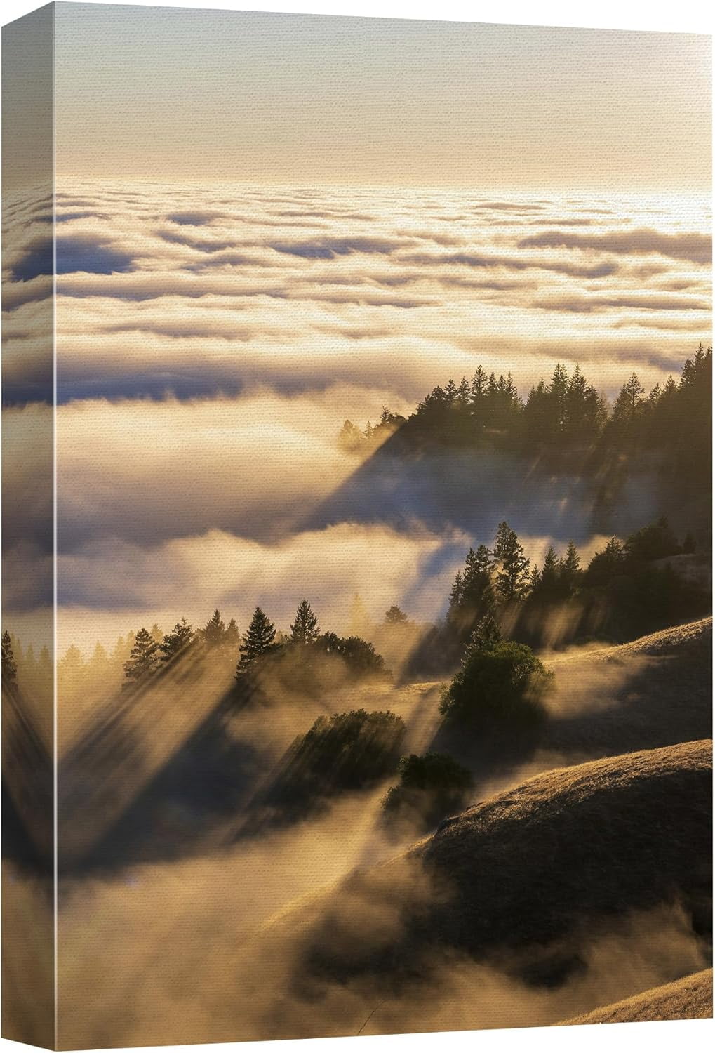 AEFER Canvas Print Wall Art Golden Mist Over Forest Sunset and Clouds ...