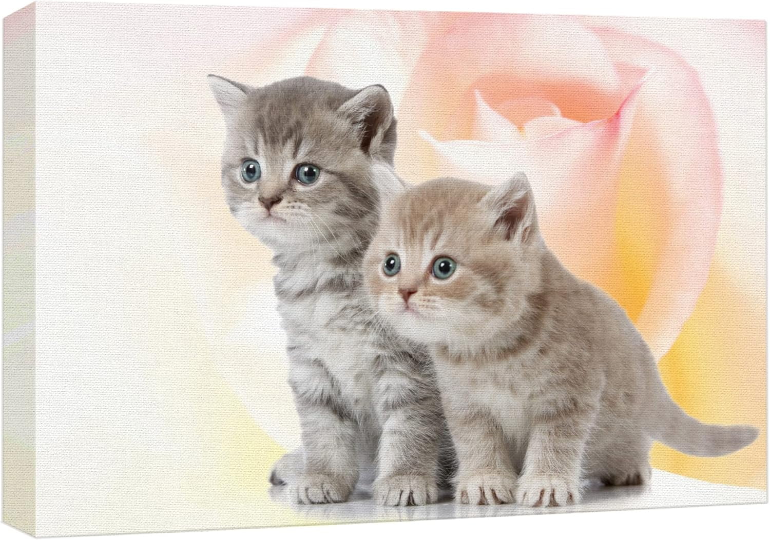 AEFER Canvas Print Wall Art Kitten Duo with Pink & Yellow Rose Flower ...