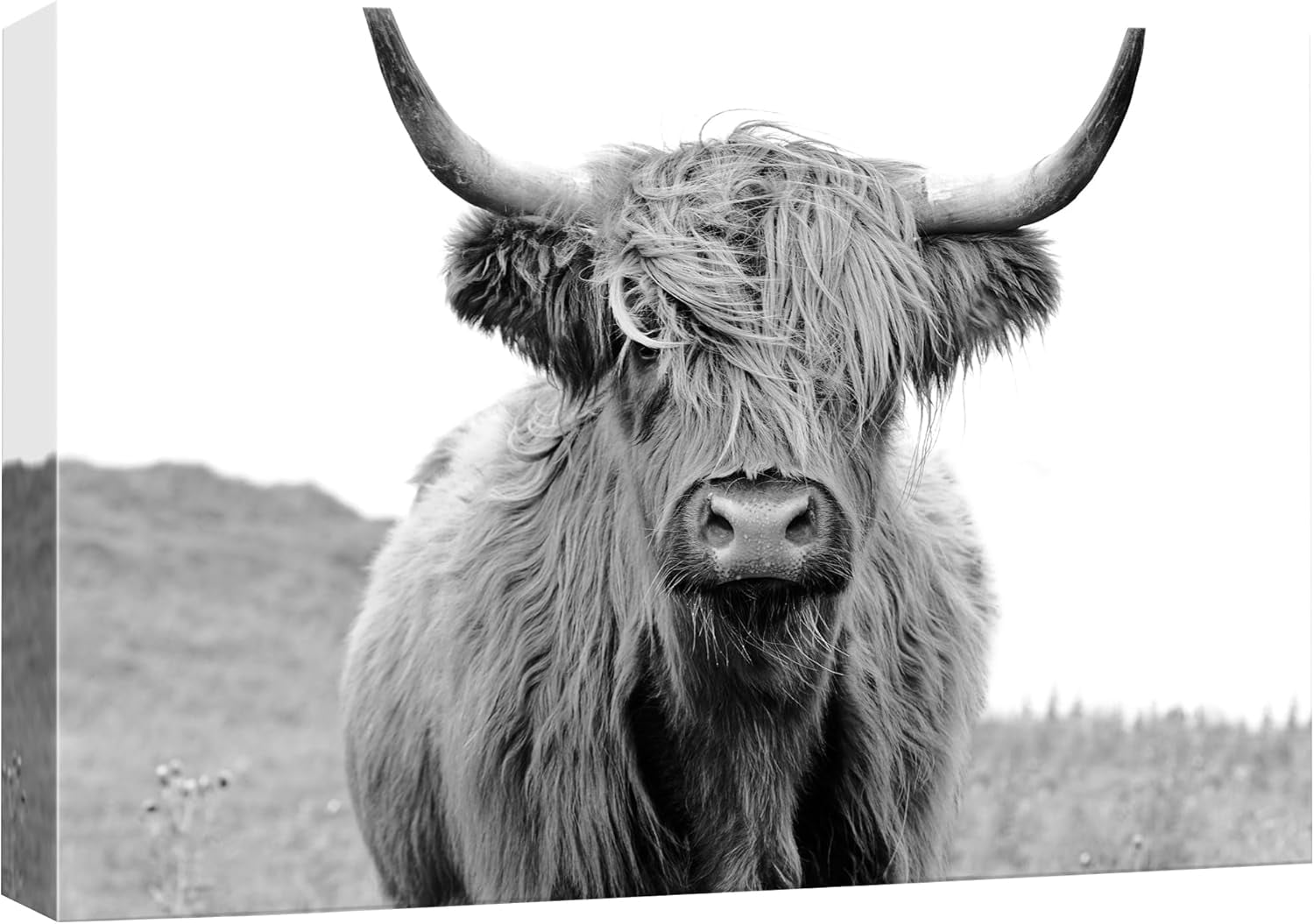 AEFER Canvas Print Wall Art Majestic Highland Cow Portrait in ...