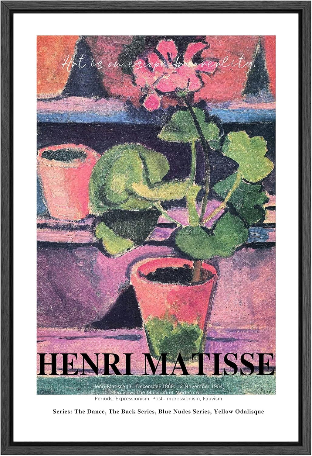 AEFER Canvas Print Wall Art Matisse Pot of Germaniums Floral Flower ...