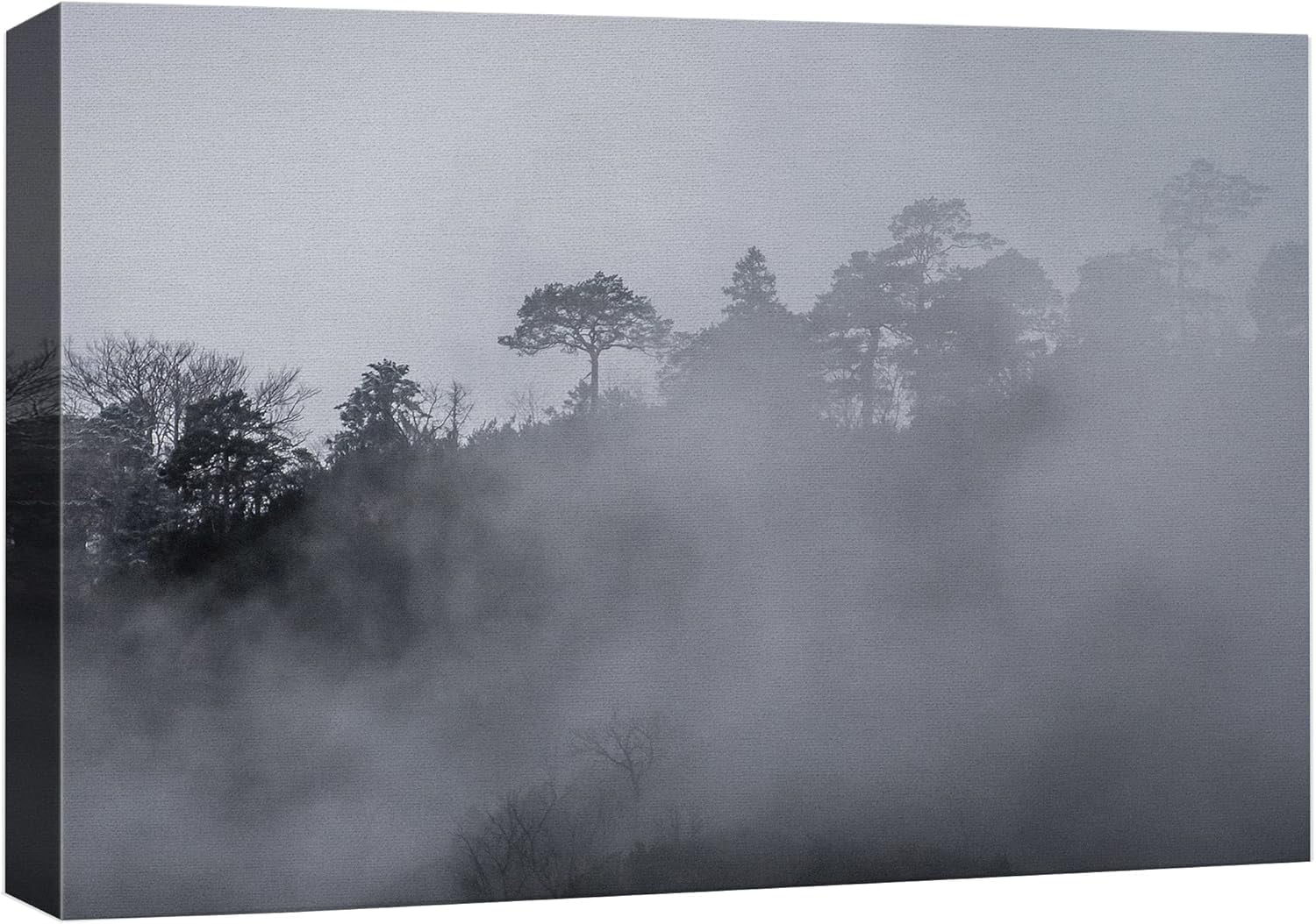 AEFER Canvas Print Wall Art Misty Foggy Woodland Country Forest Trees Nature Wilderness ...
