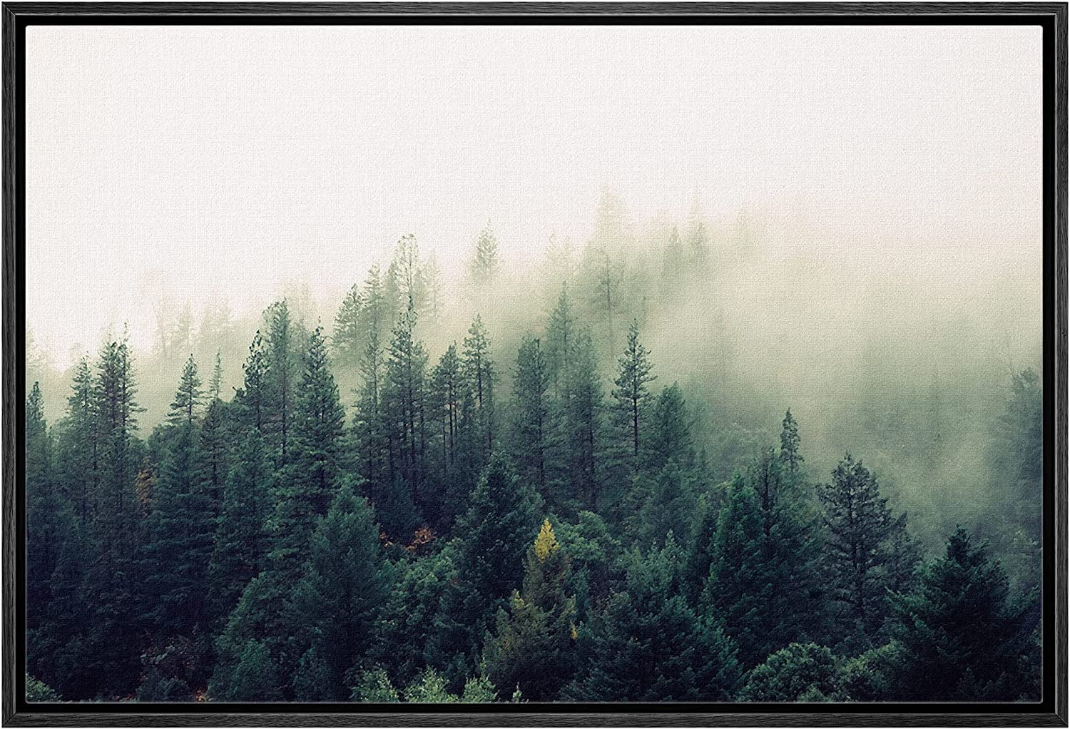 AEFER Canvas Print Wall Art Misty Green Forest Pine Trees in Sunlight Nature Wilderness ...
