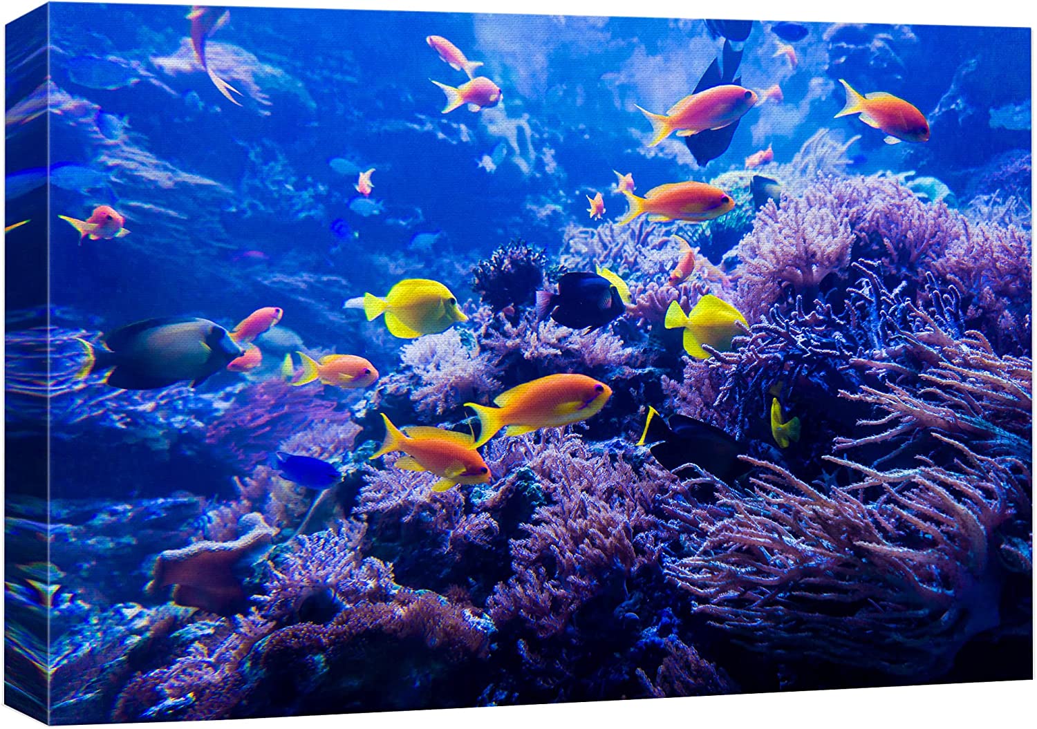AEFER Canvas Print Wall Art Purple Blue Vibrant Anemone Coral Reef Fish ...