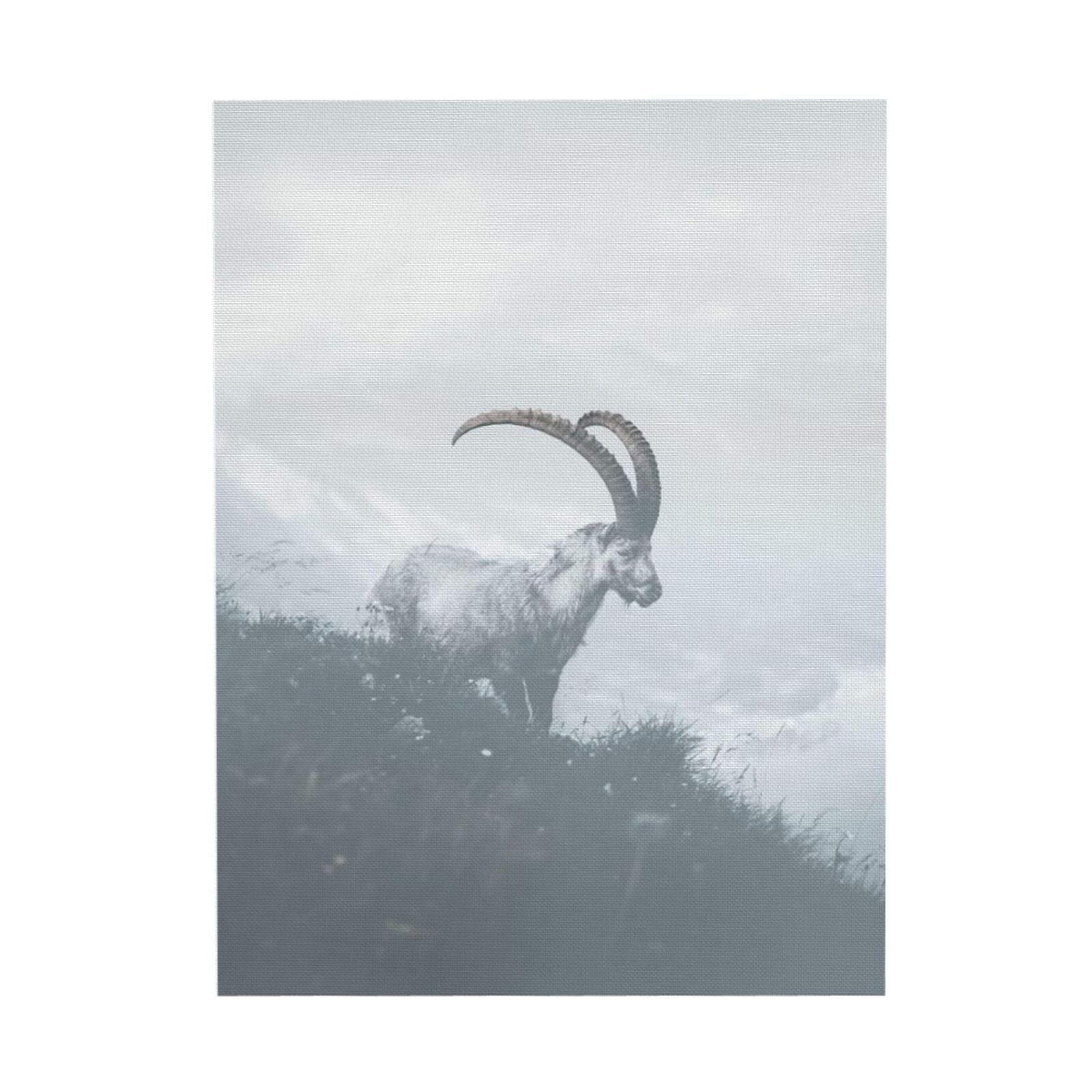 AEFER Canvas Print Wall Art Ram on Dark Mountain Cliff Animals WildLife ...