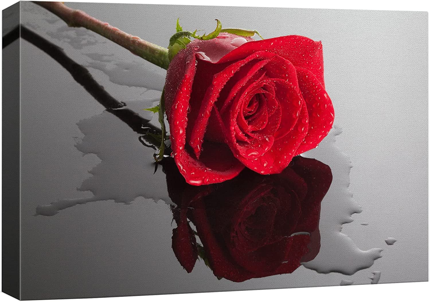AEFER Canvas Print Wall Art Red Rose Close Up with Water Floral ...