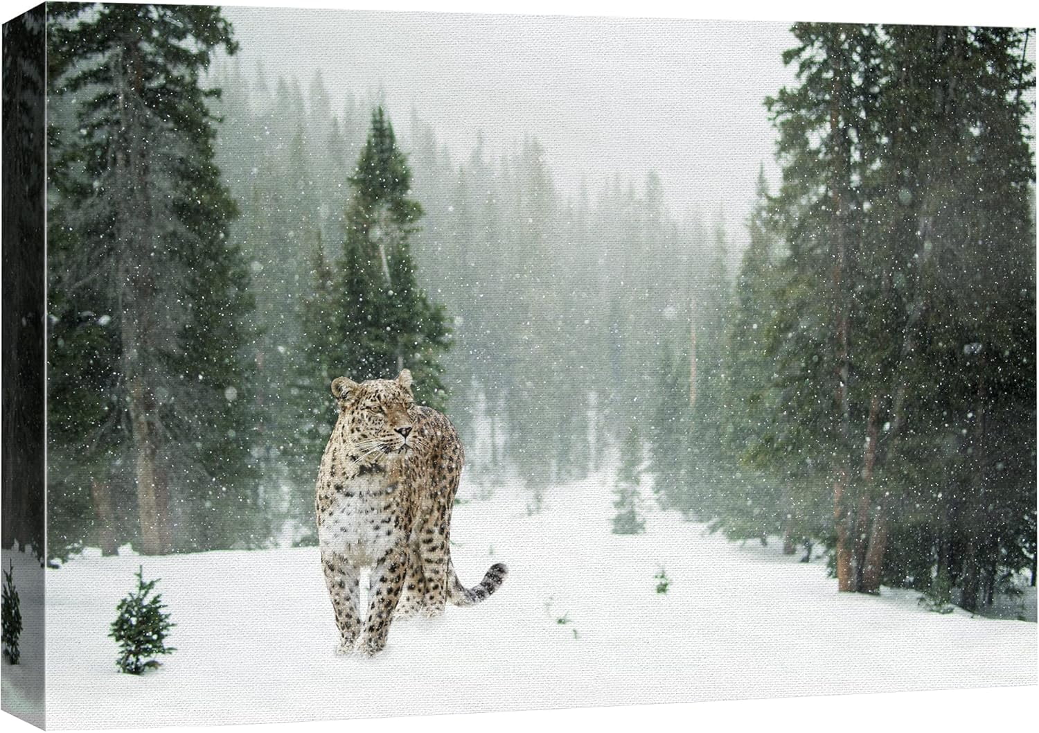 AEFER Canvas Print Wall Art Set Spotted Leopard in Snow Forest Animals ...