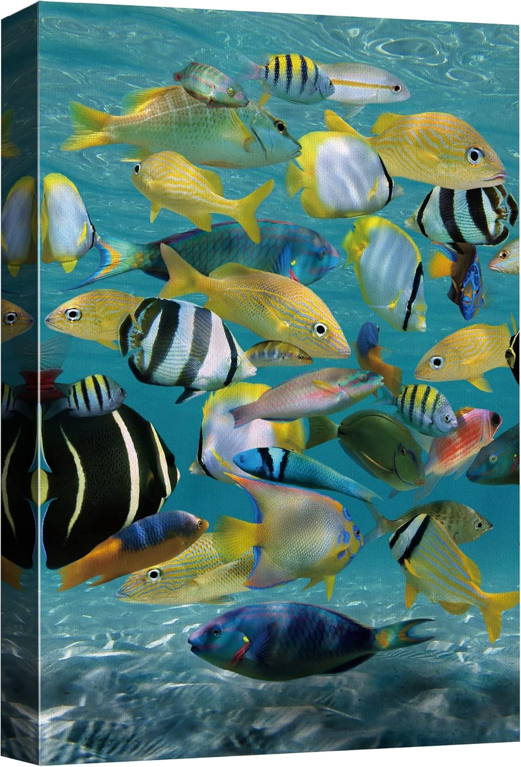 AEFER Canvas Print Wall Art Silver, Blue & Yellow Coral Reef Fish Under ...