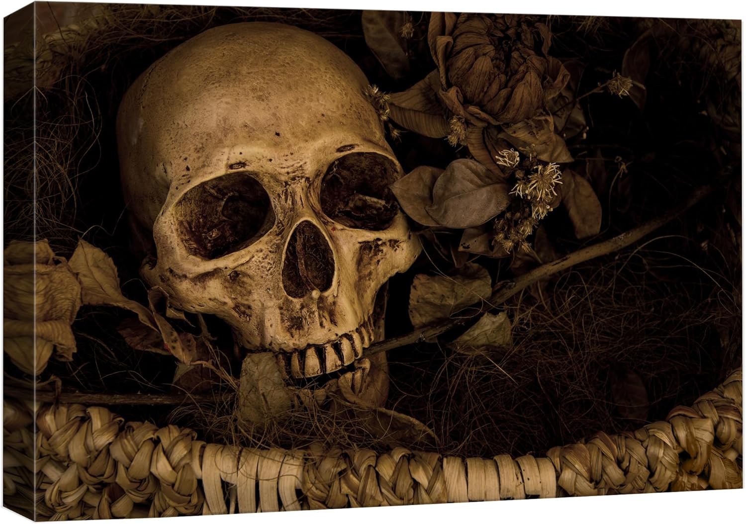 AEFER Canvas Print Wall Art Skeleton Gothic Photography Modern Art ...
