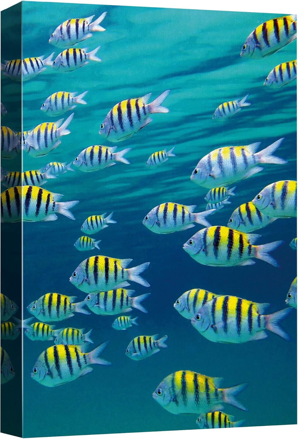 AEFER Canvas Print Wall Art Striped Yellow & Damselfish Under The Sea ...