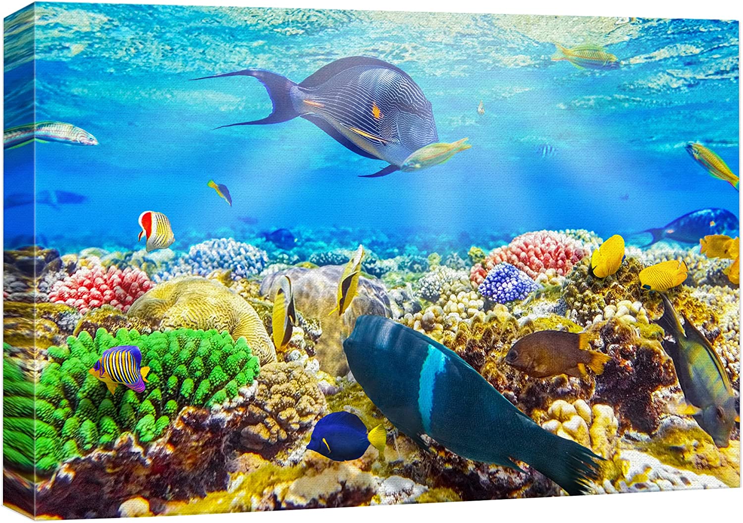 AEFER Canvas Print Wall Art Sunlight Ocean Sea Coral Reef Anemone Fish ...