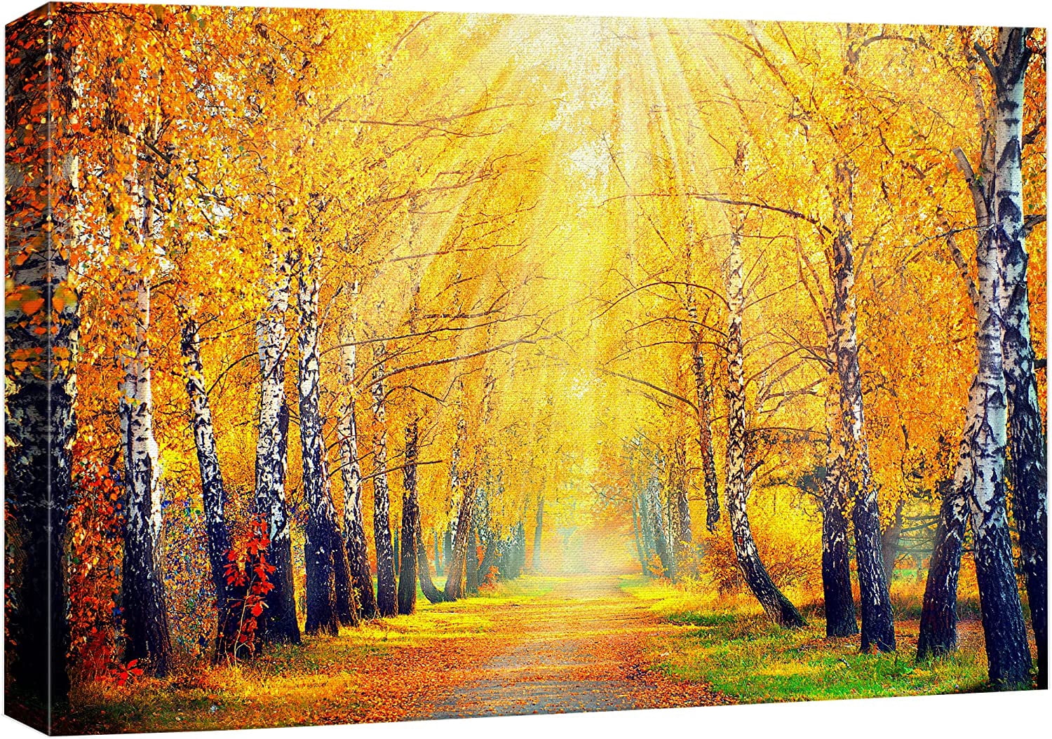 AEFER Canvas Print Wall Art Sunlight Shine Over Yellow Autumn Forest ...