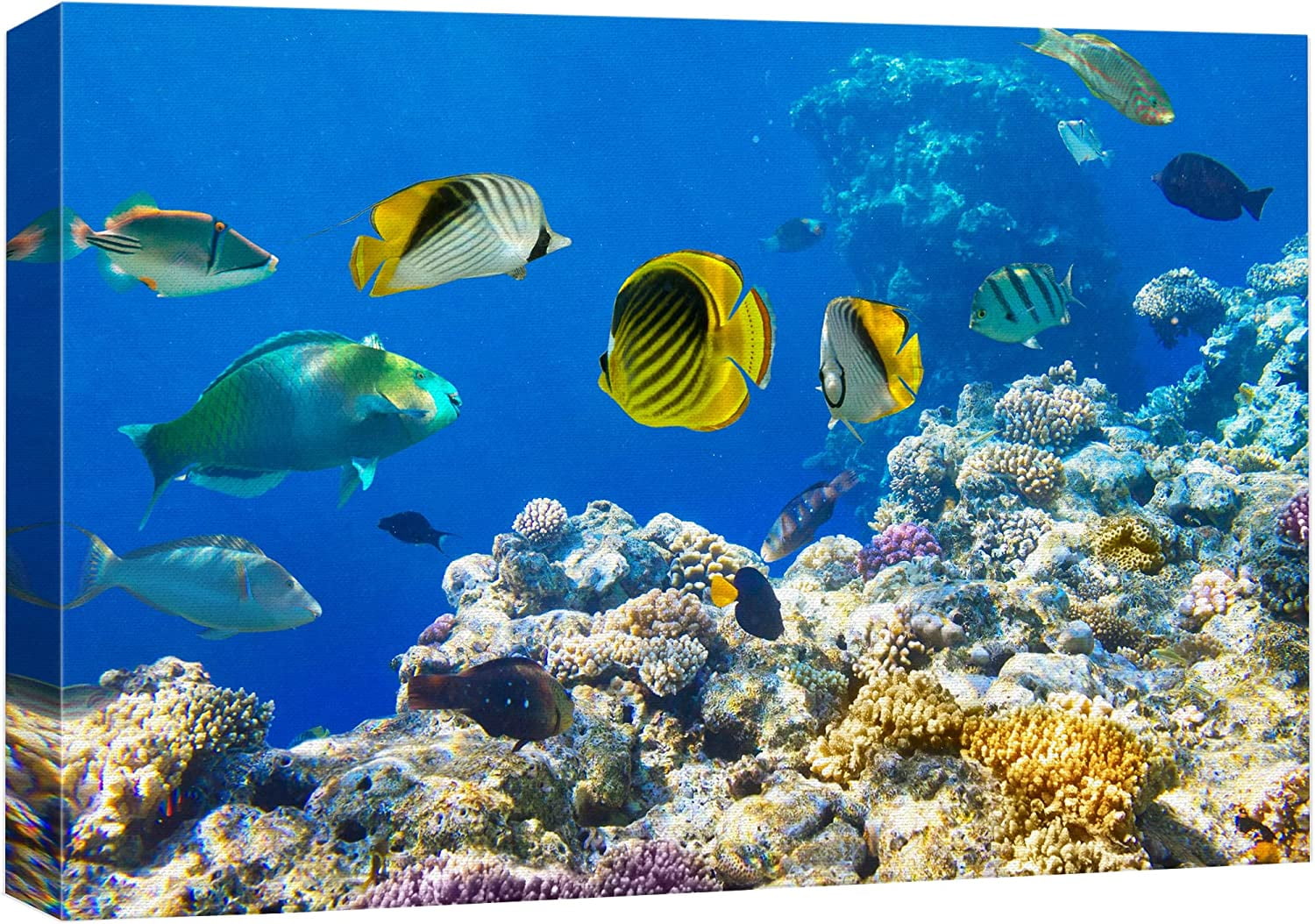 AEFER Canvas Print Wall Art Tropical Island Ocean Sea Fish Coral Reef ...