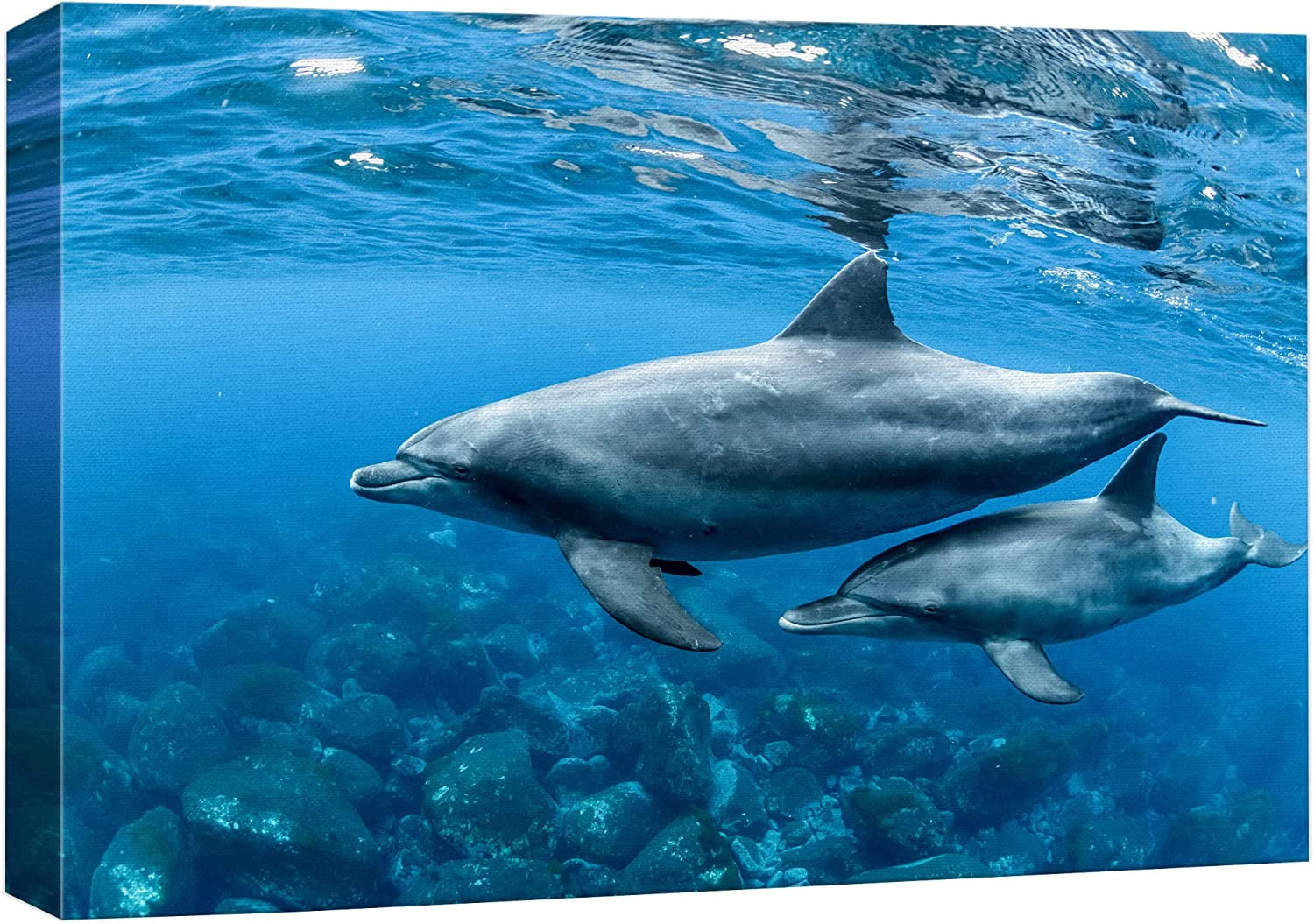 AEFER Canvas Print Wall Art Tropical Ocean Sea Underwater Dolphin Duo ...