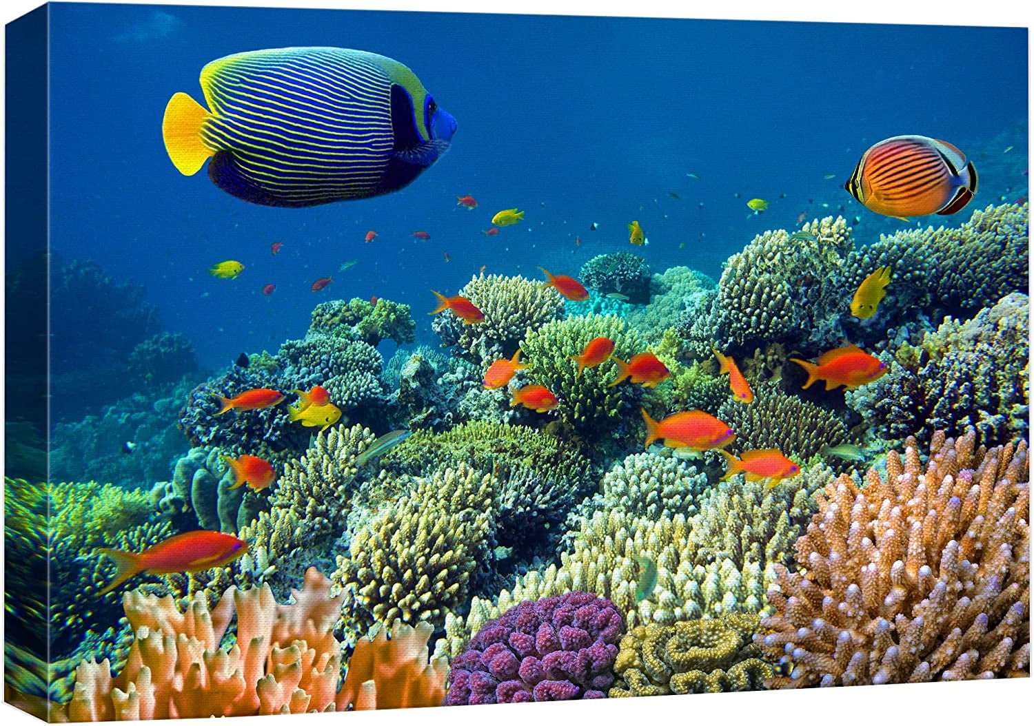AEFER Canvas Print Wall Art Tropical Underwater Sea Coral Reef Fish ...