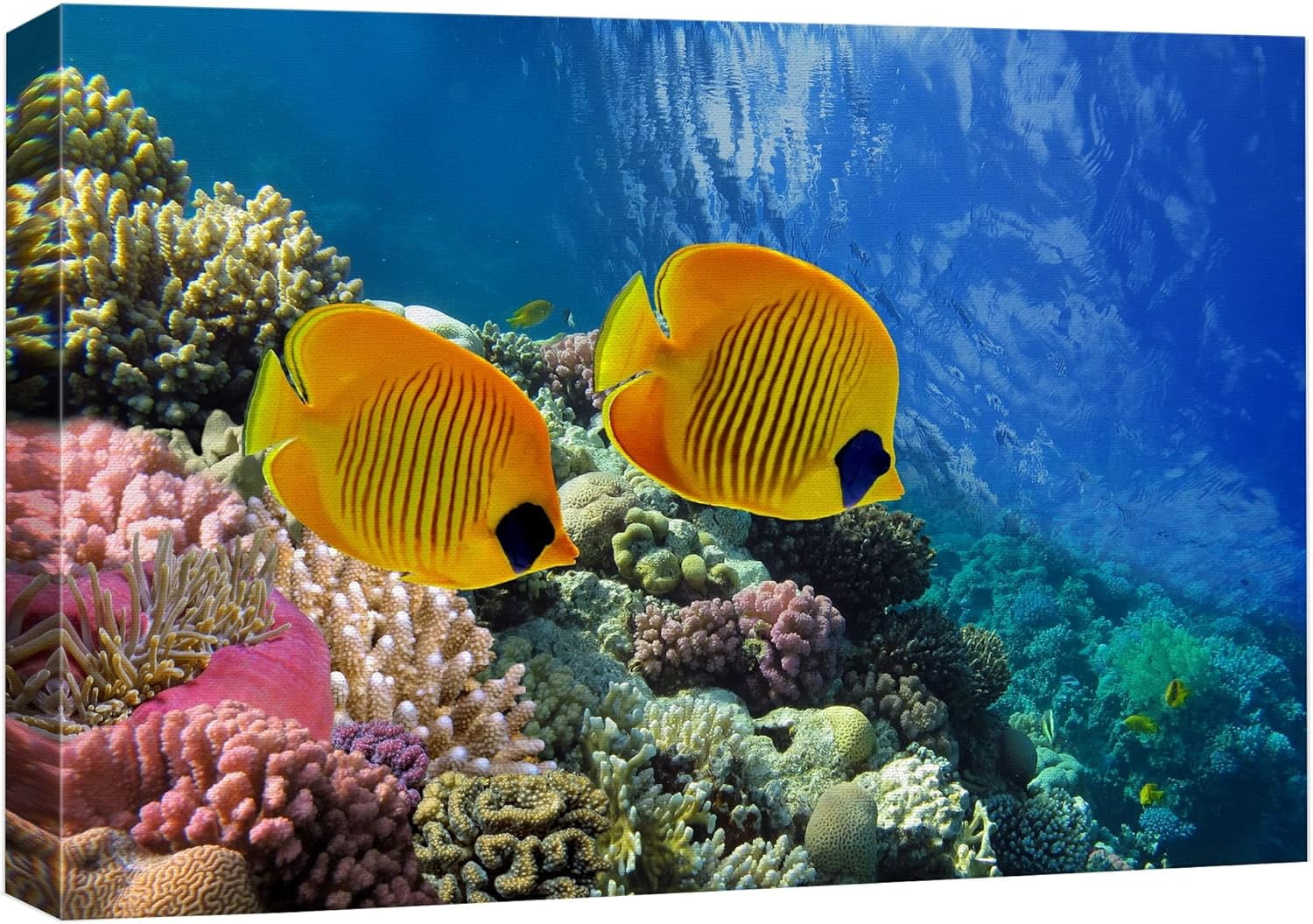 AEFER Canvas Print Wall Art Tropical Yellow Fish with Vibrant Coral ...