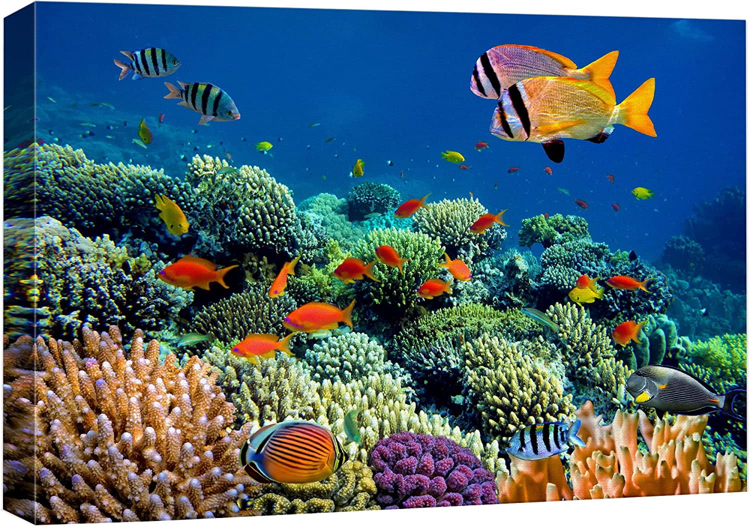 AEFER Canvas Print Wall Art Vibrant Coral Reef Underwater Panorama ...