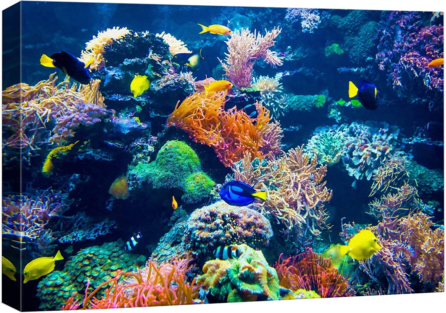 AEFER Canvas Print Wall Art Vibrant Multicolor Coral Reef Fish ...