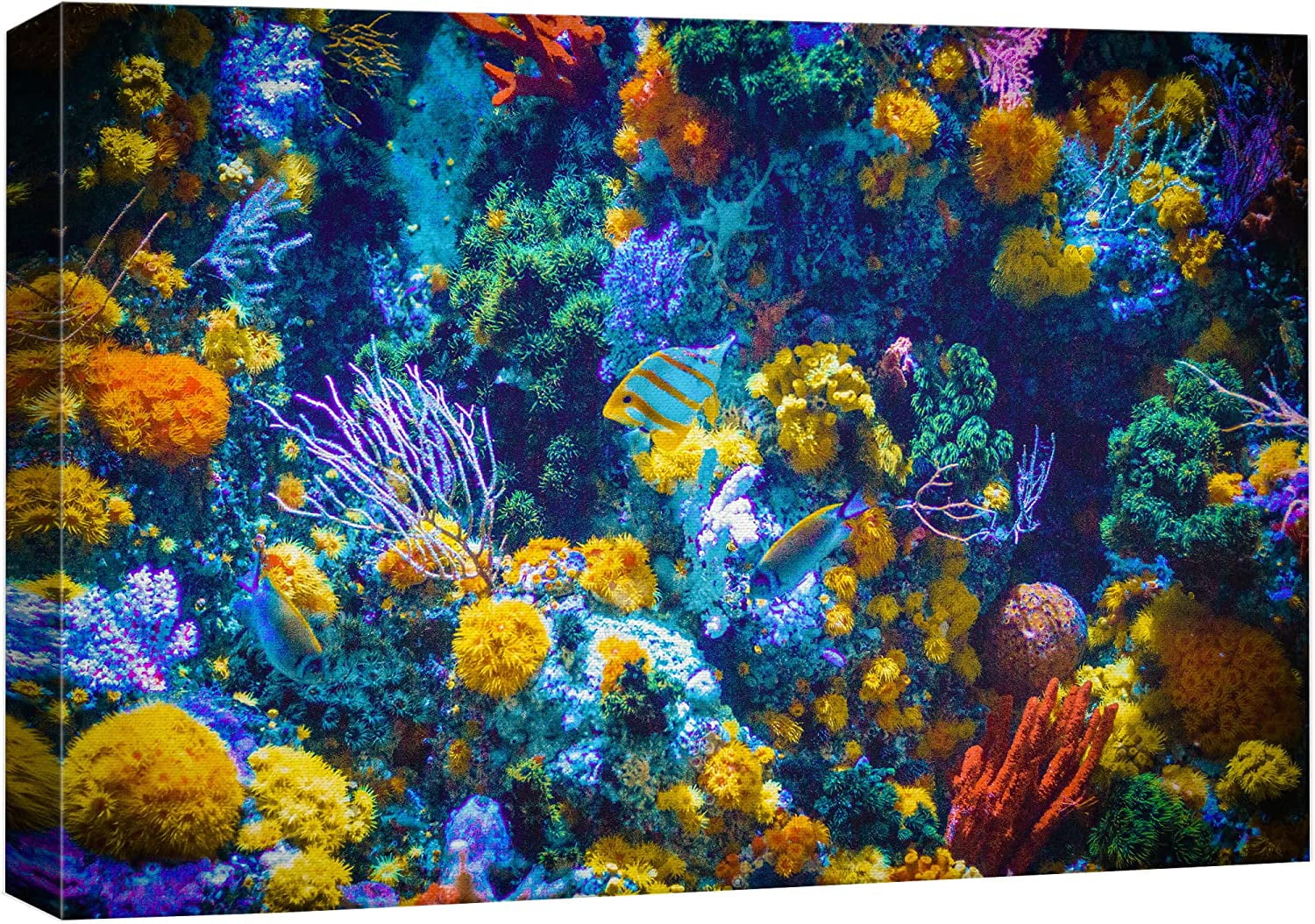 AEFER Canvas Print Wall Art Vibrant Neon Multicolor Anemone Coral Reef ...