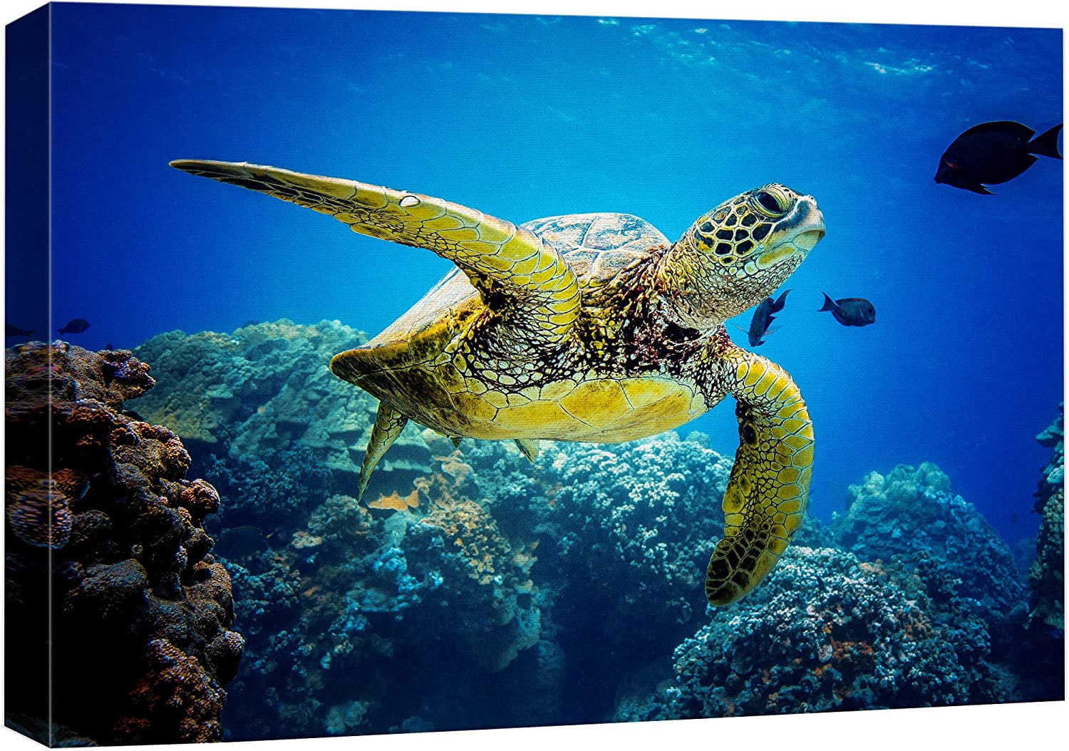 AEFER Canvas Print Wall Art Vibrant Ocean Underwater Swimming Turtle ...