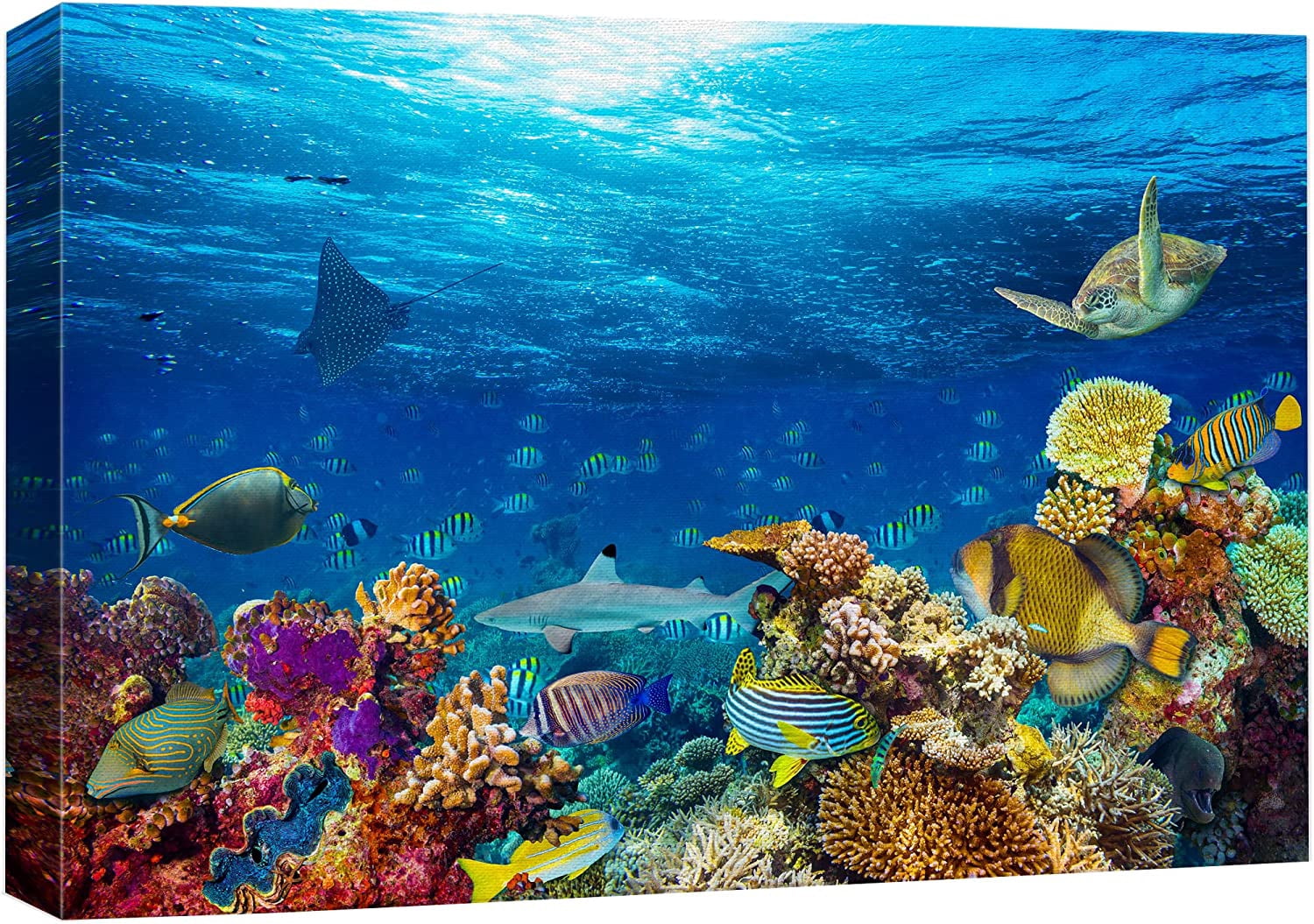 AEFER Canvas Print Wall Art Vibrant Sunshine Ray Coral Reef Turtle Fish ...