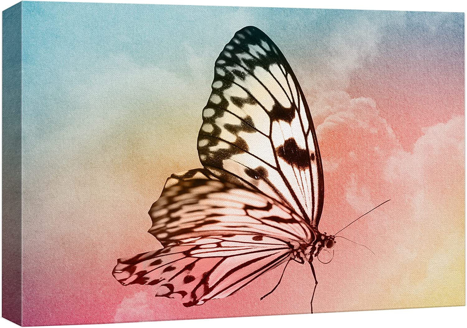 AEFER Canvas Print Wall Art Vibrant Watercolor Pastel Rainbow Butterfly ...
