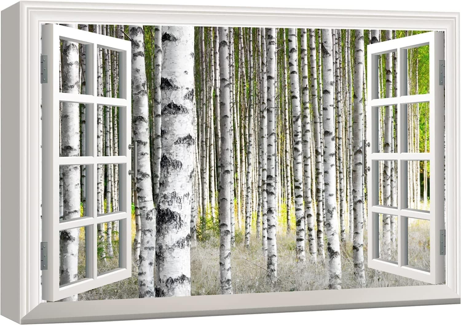 AEFER Canvas Print Wall Art Window View of White Birch Tree Forest ...