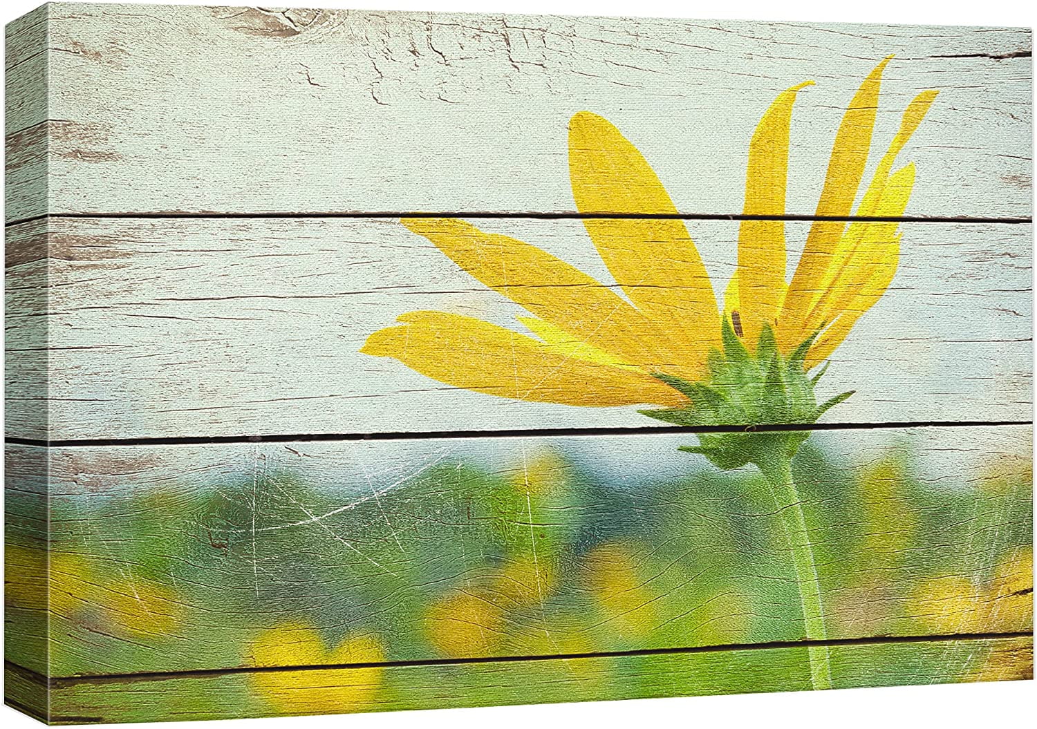 AEFER Canvas Print Wall Art Yellow Flower Field on Retro Wood Panels ...