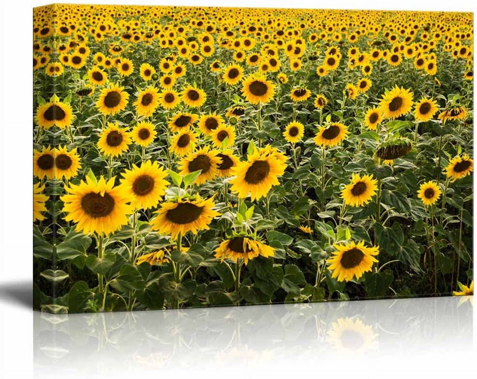 AEFER Canvas Prints Wall Art - Beautiful Scenery/Landscape Large ...