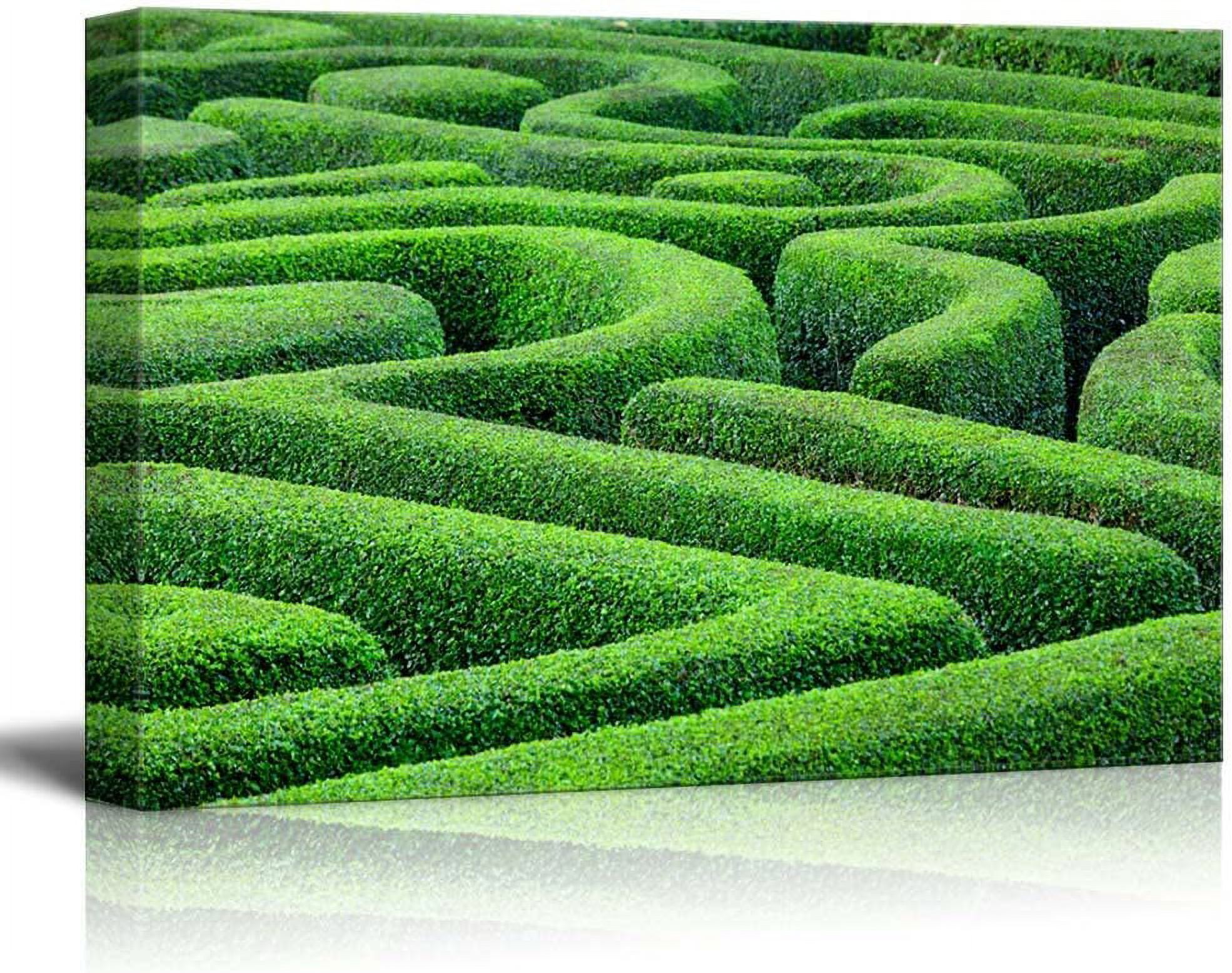 AEFER Canvas Prints Wall Art - Beautiful Scenery of Green Plant Maze ...