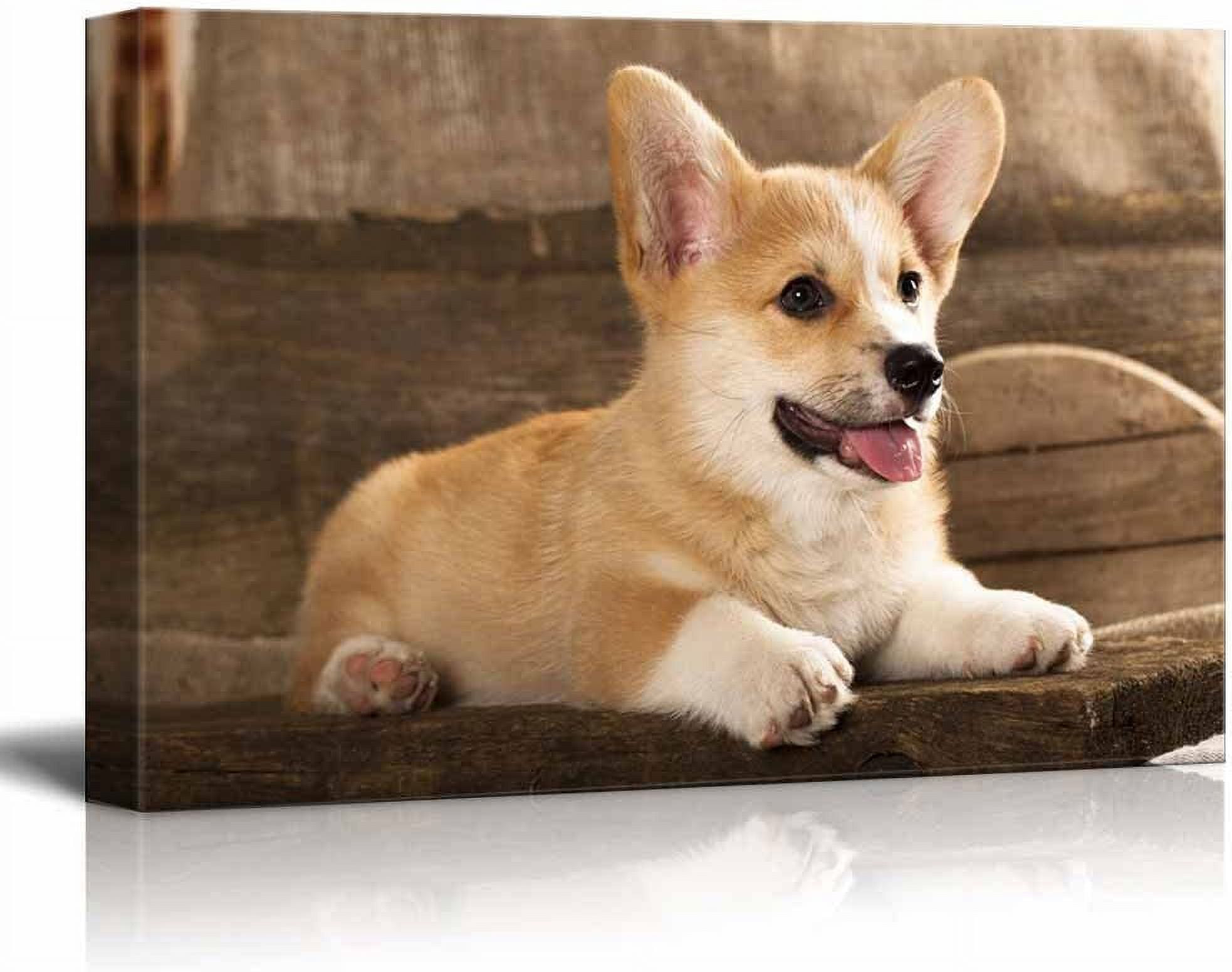 AEFER Canvas Prints Wall Art - Cardigan Welsh Corgi Puppy Unframe ...