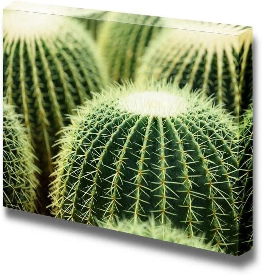 AEFER Canvas Prints Wall Art - Closeup Photo of Cactus | Modern Wall ...