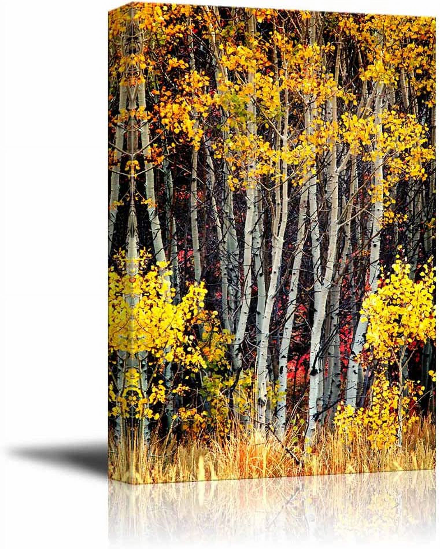 AEFER Canvas Prints Wall Art - Detail of Several Aspen Birch Trees with ...