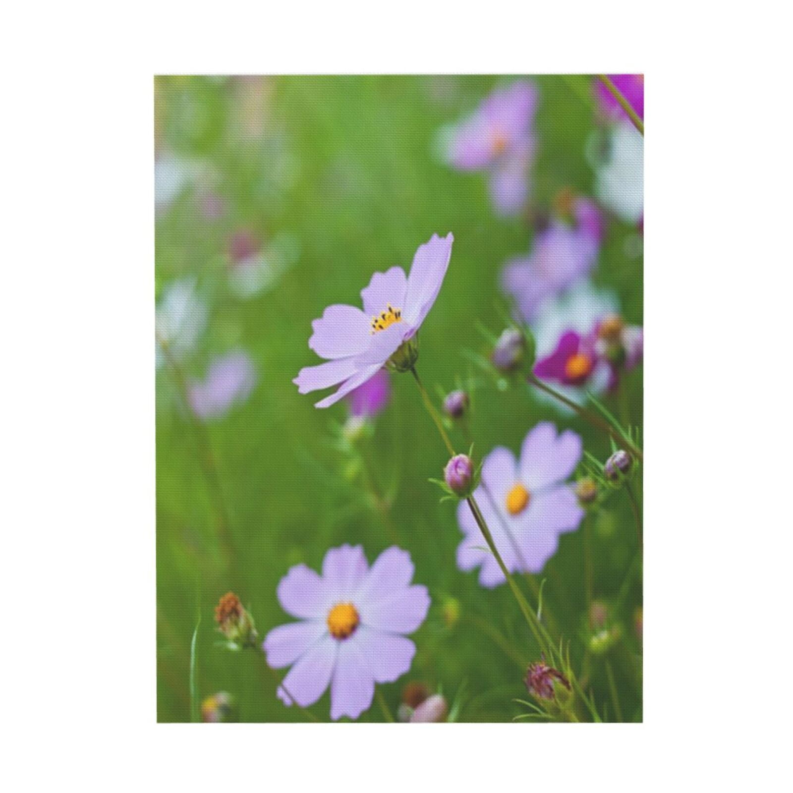 AEFER Canvas Prints Wall Art - Different Pink Cosmos Flowers Closeup ...