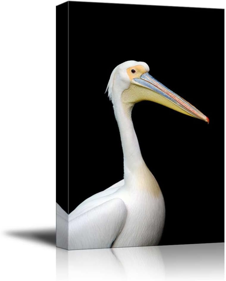 AEFER Canvas Prints Wall Art - Pelican on a Background | Modern Wall ...