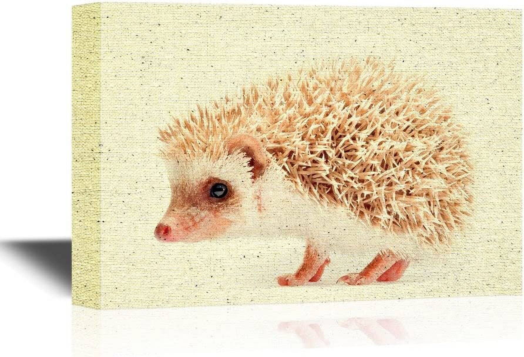 AEFER Canvas Wall Art - Adorable Hedgehog - Gallery Wrap Modern Home Art Unframe: 8x10inch ...