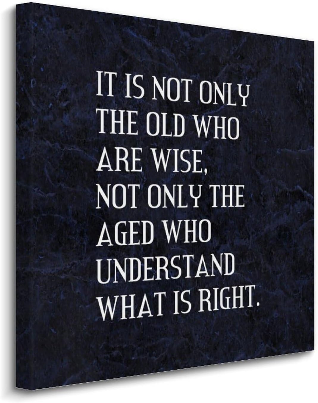 AEFER Canvas Wall Art with Inspirational Quote It Is Not Only The Old ...