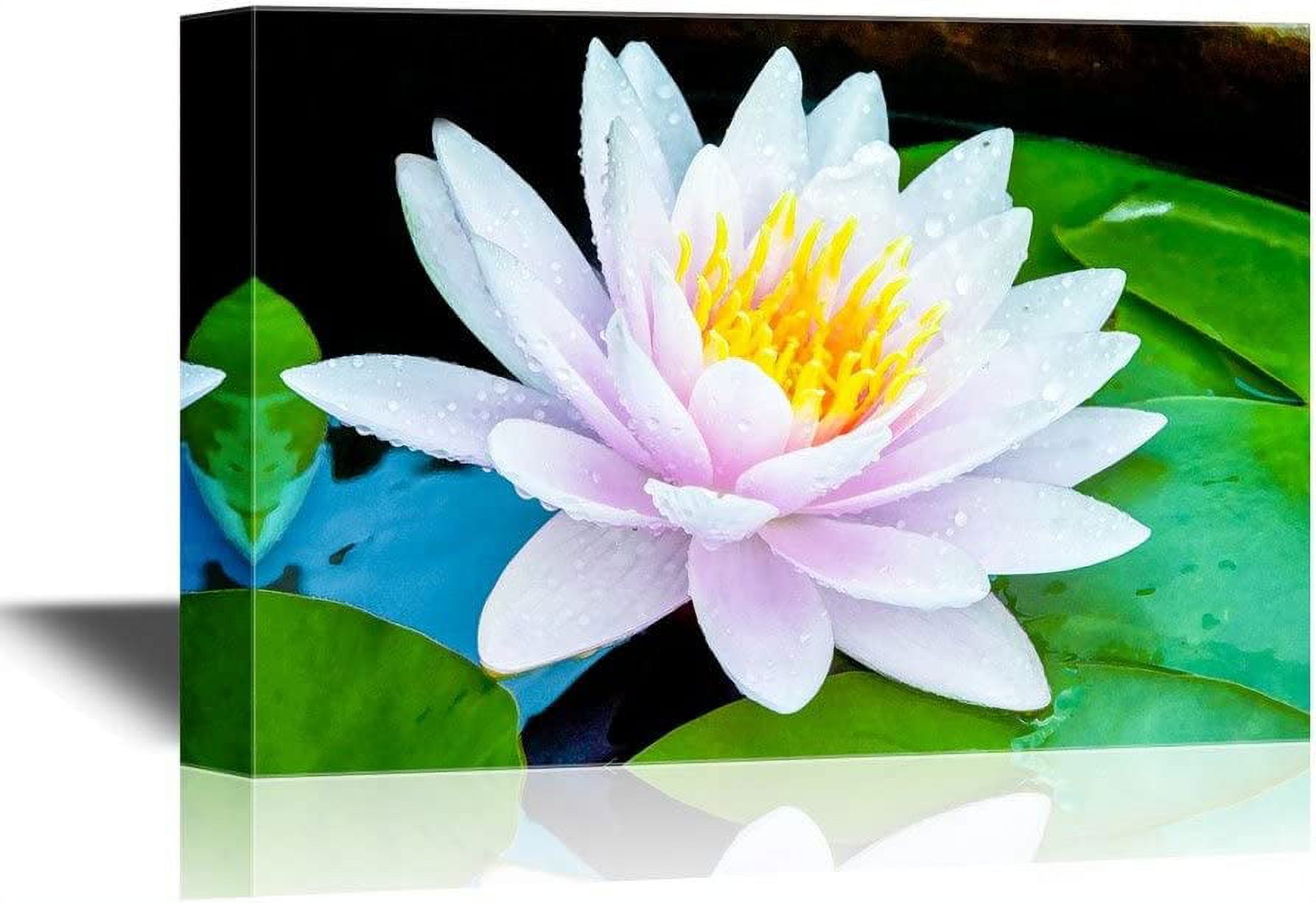 AEFER - Canvas Wall Art - Pink Color Water Lilly and Water Drop ...