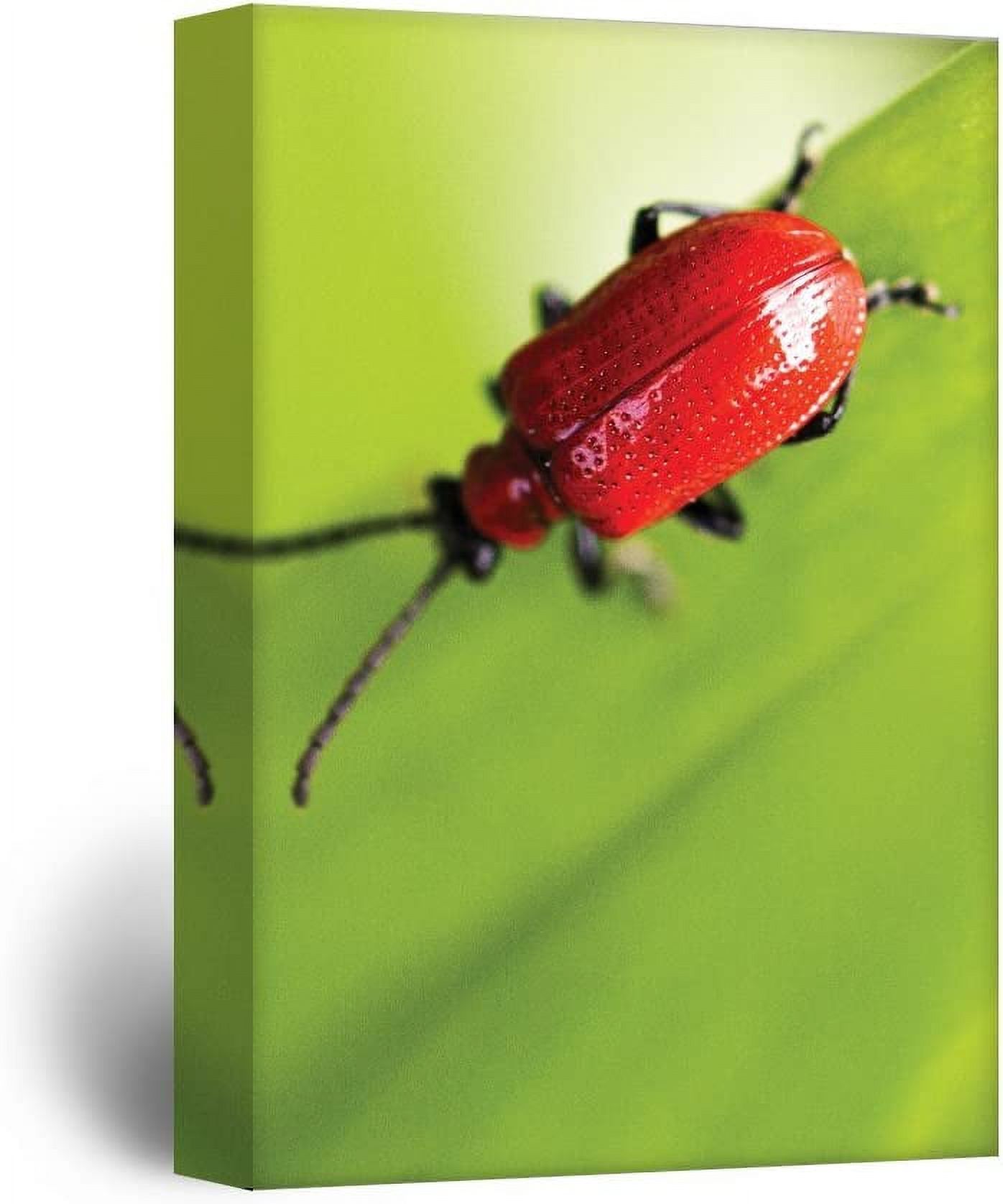 AEFER Canvas Wall Art - Red Beetle on Green Leaf - Giclee Print Gallery ...