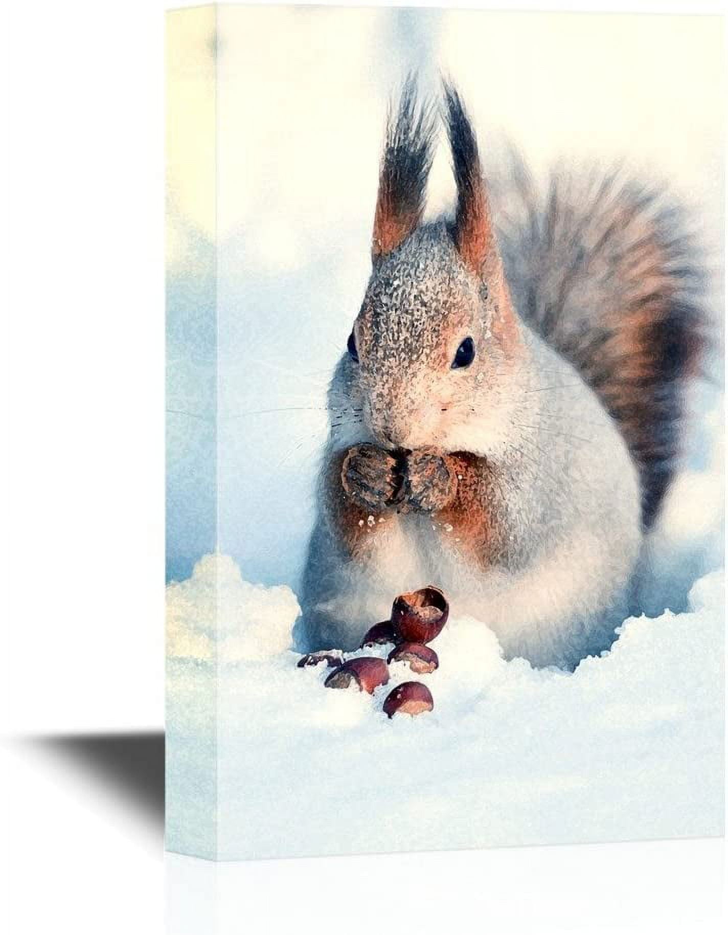 AEFER Canvas Wall Art - Squirrel Eating Nuts in The Snow - Gallery Wrap Modern Home Art Unframe ...