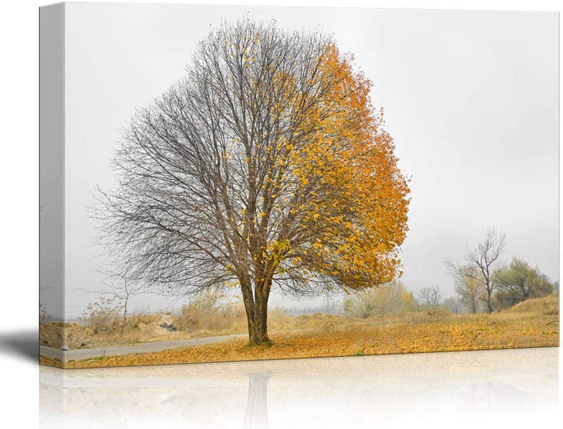 AEFER Canvas Wall Art - Tree with Yellow Leaves During Fall - Giclee ...