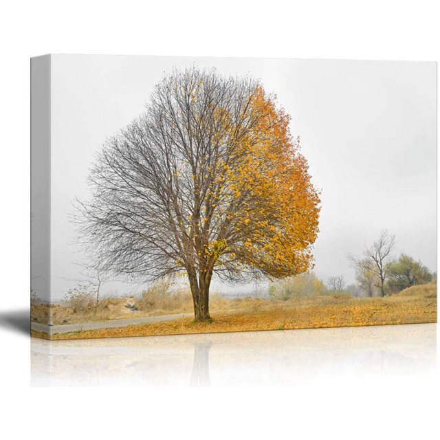 AEFER Canvas Wall Art - Tree with Yellow Leaves During Fall - Giclee ...