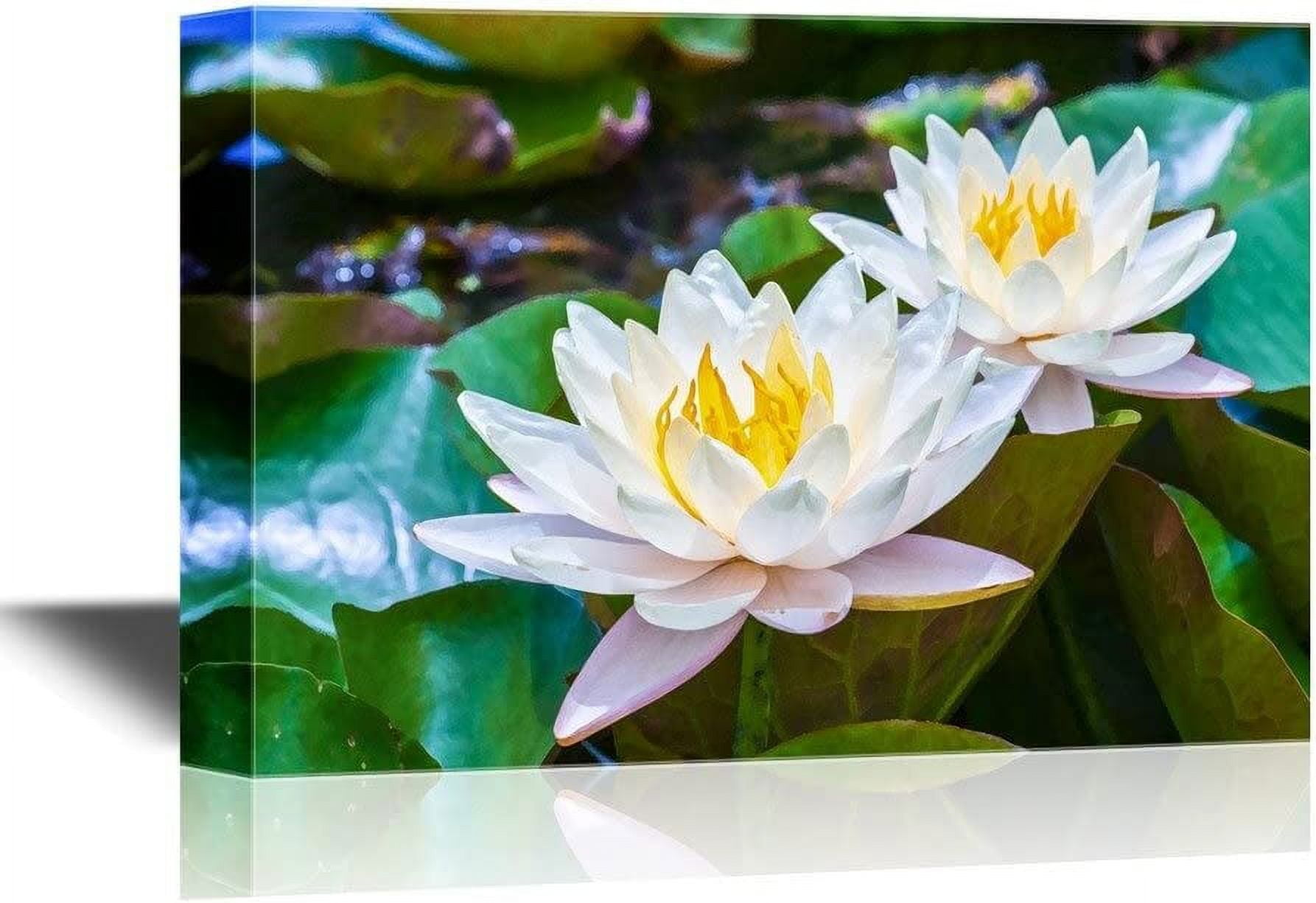 AEFER - Canvas Wall Art - Two White Lotus - Gallery Wrap Modern Home ...