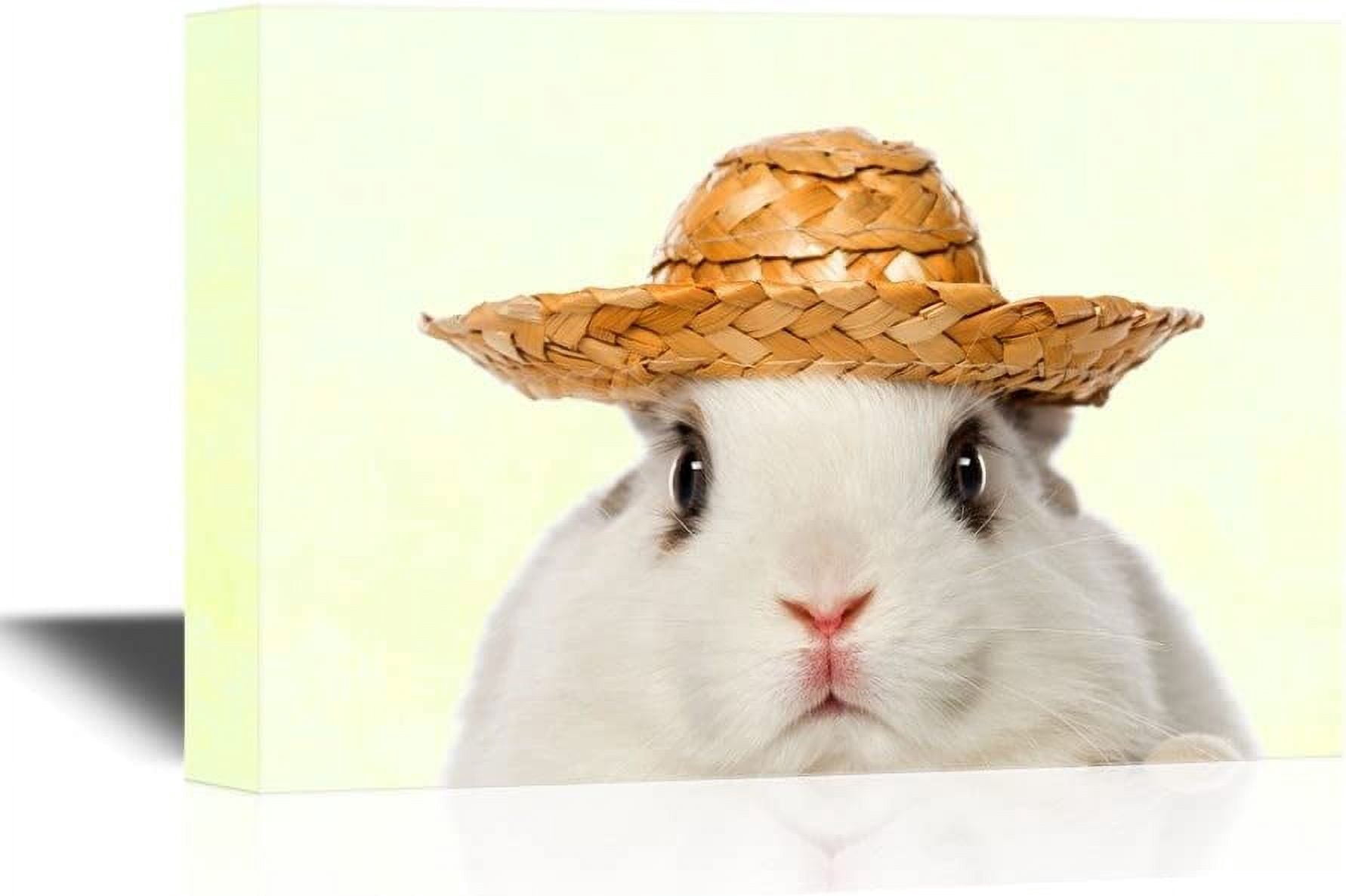 AEFER Canvas Wall Art - White Rabbit Wearing a Hat - Gallery Wrap ...