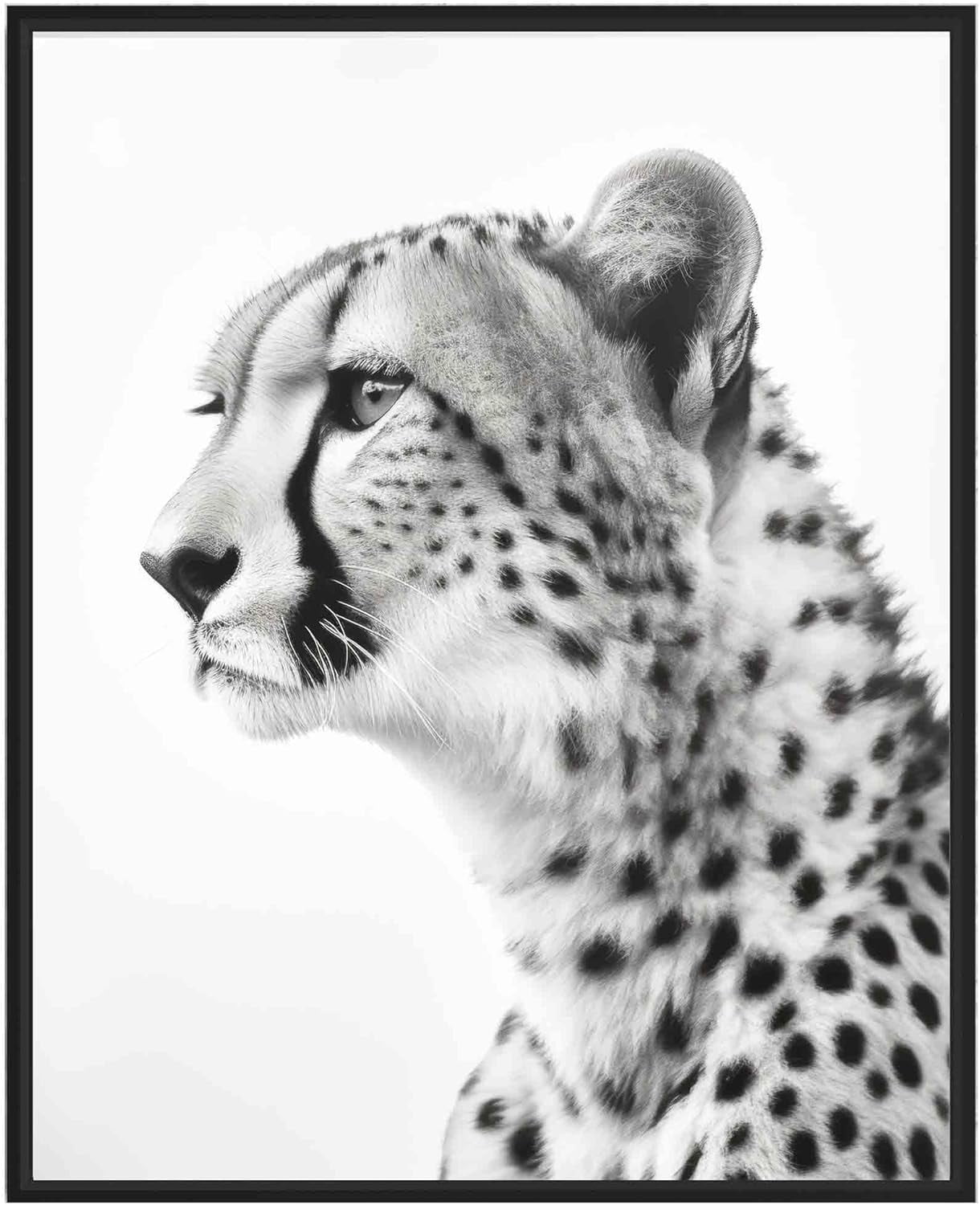 AEFER Cheetah Art Prints Posters, Black and White Photography Wall Art ...